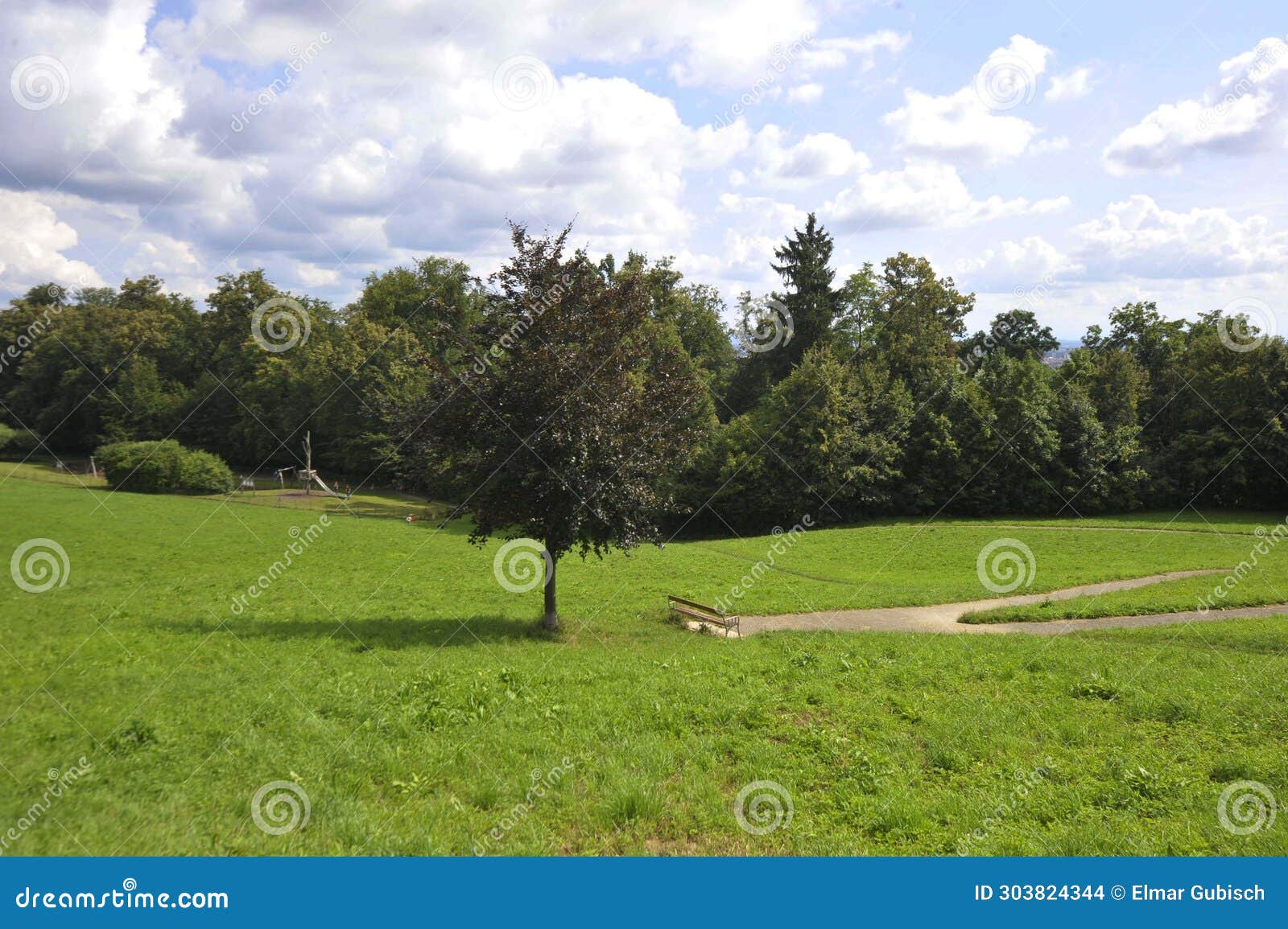 The Lawn Most Basic in Garden Design Stock Photo - Image of density ...