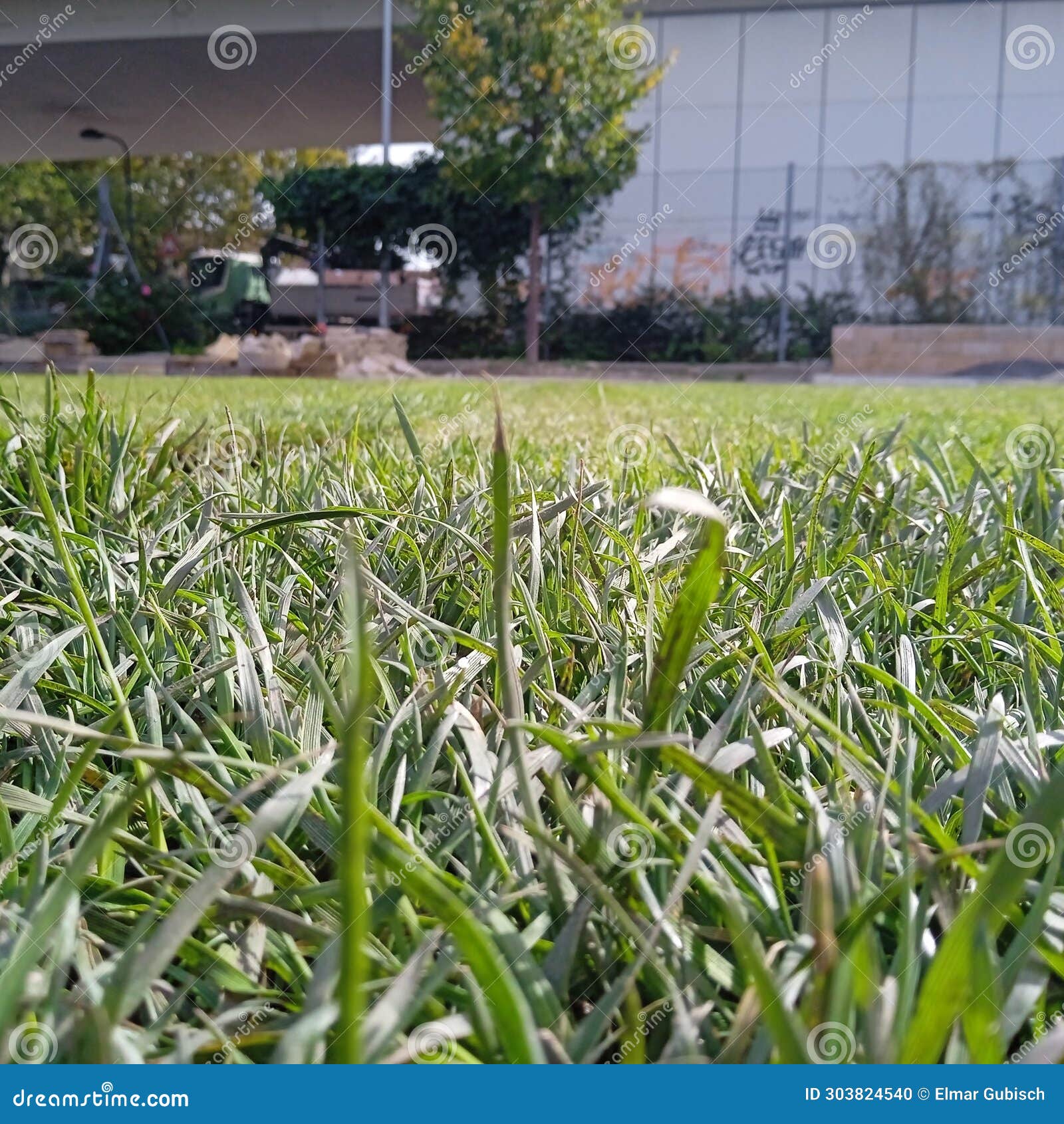 The Lawn Most Basic in Garden Design Stock Photo - Image of housing ...