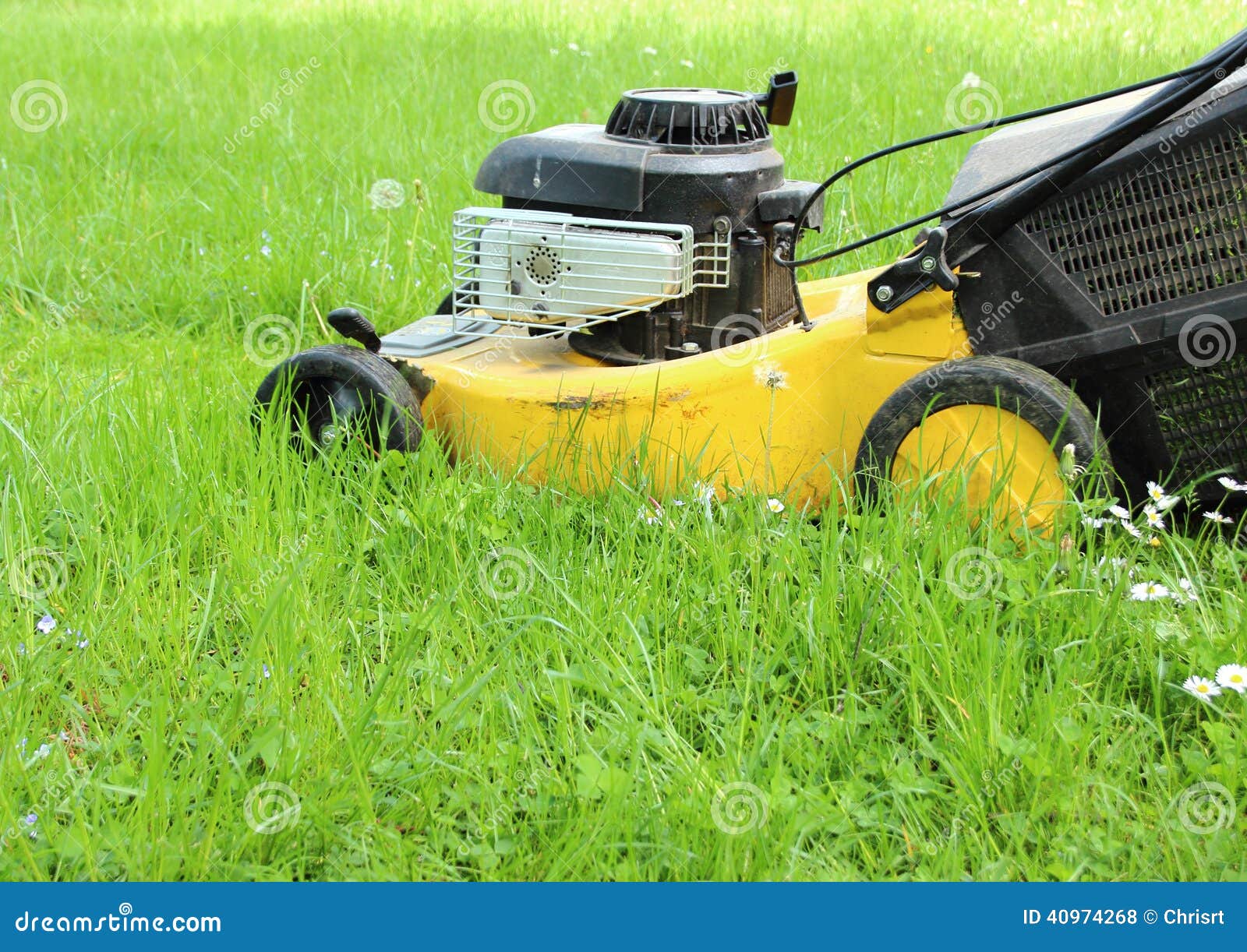 Lawn Mover Cutting High Grass in Garden Stock Photo - Image of fresh ...