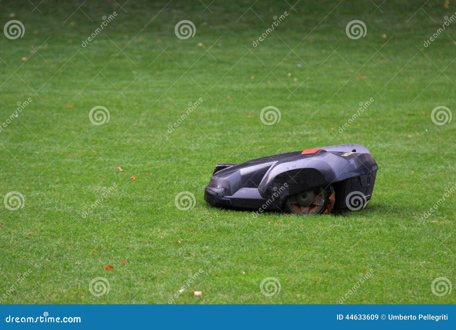 Lawn mower stock image. Image of grass, working, lawn - 44633609