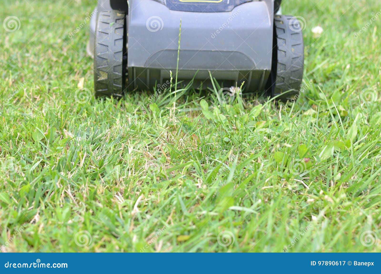 Lawn mower in action stock image. Image of nature, gardener - 97890617