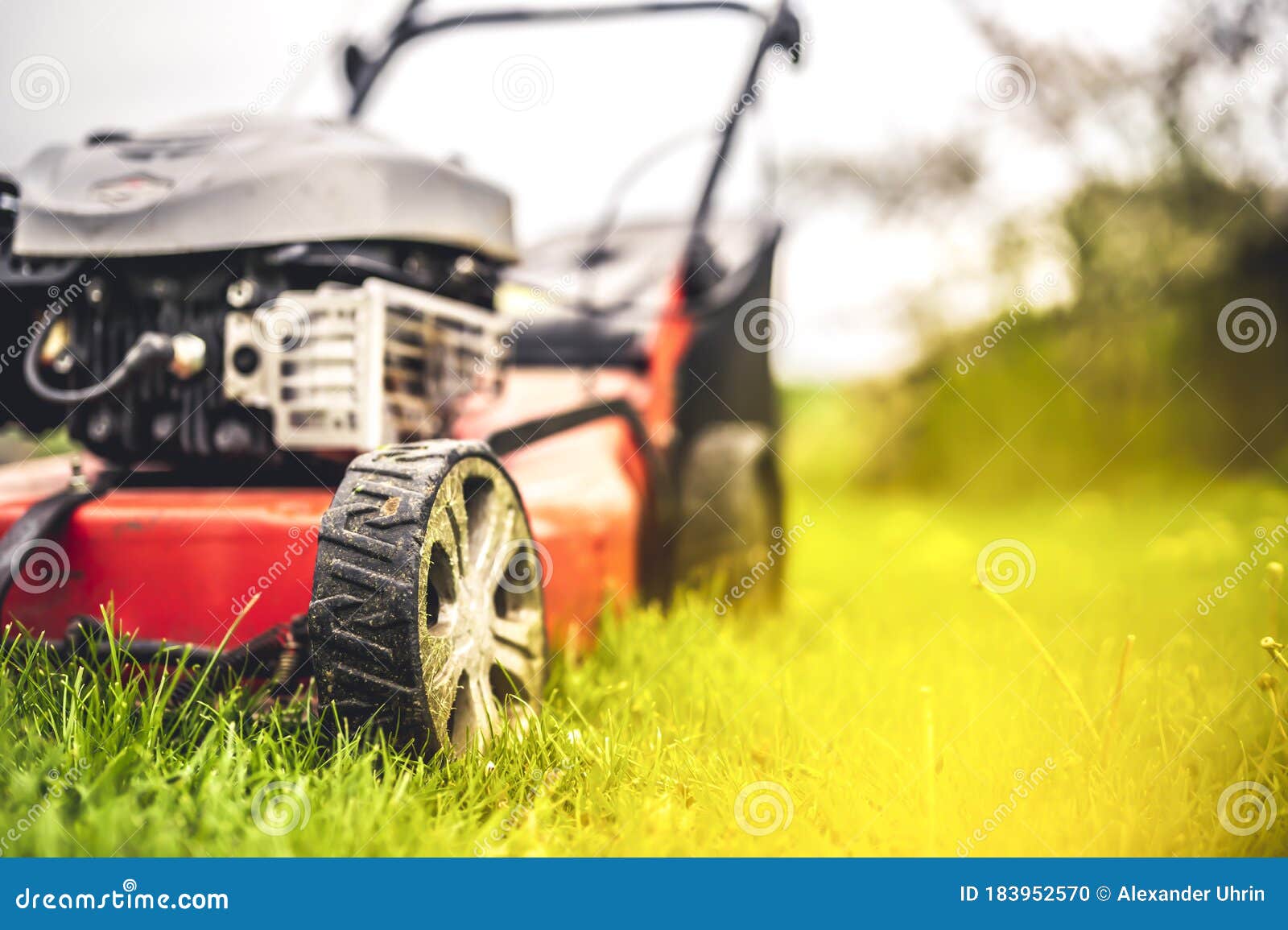 Lawn Mower Cut Grass. Garden Work. Electric Rotary Lawn Mower Machine ...