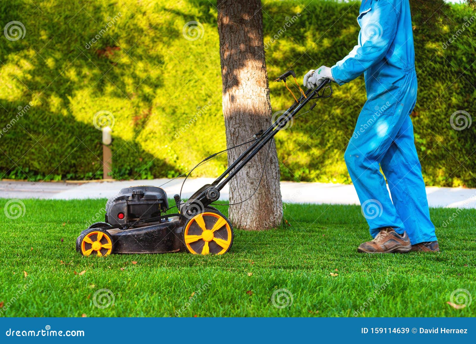 Lawn Mower Cutting The Grass Gardening Activity Stock Image Image Of Gardening Outdoor