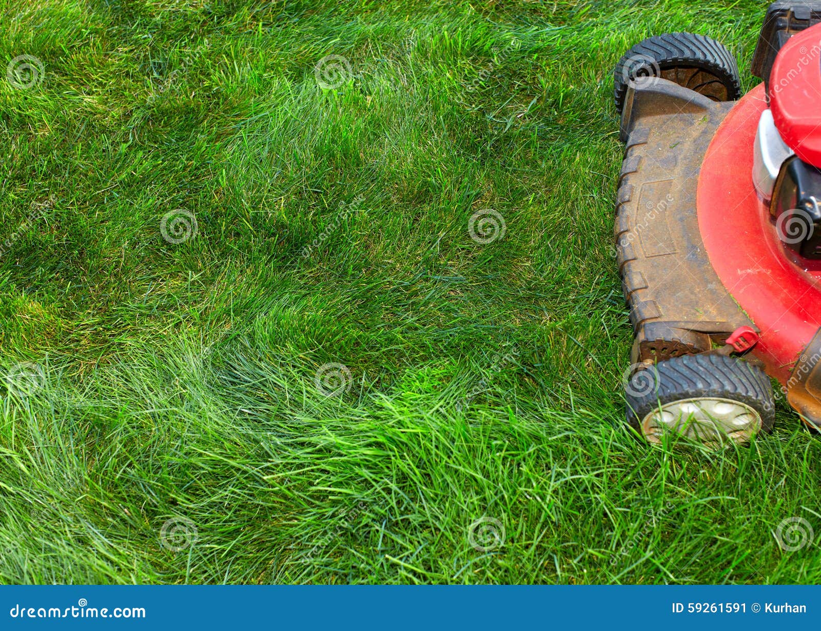 Lawn Mower Cutting Green Grass. Stock Image - Image of beautiful, mower ...