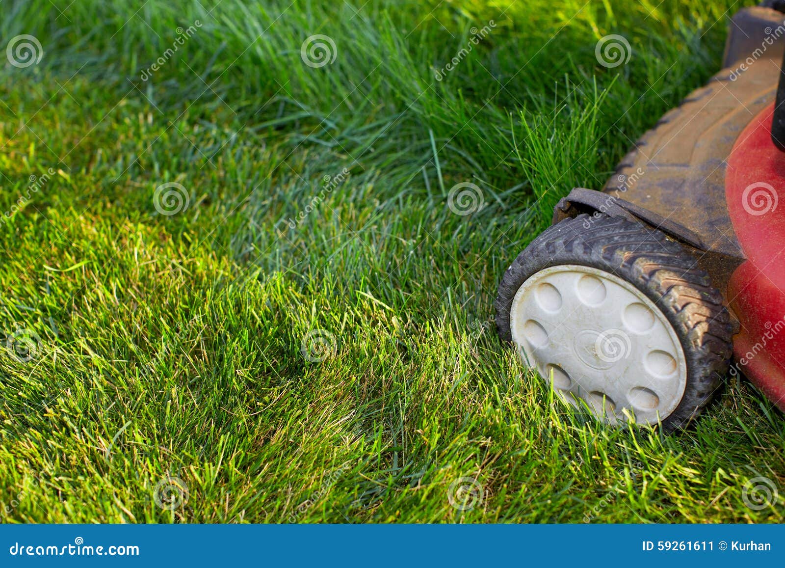 Lawn Mower Cutting Green Grass. Stock Image - Image of outdoors, mower ...