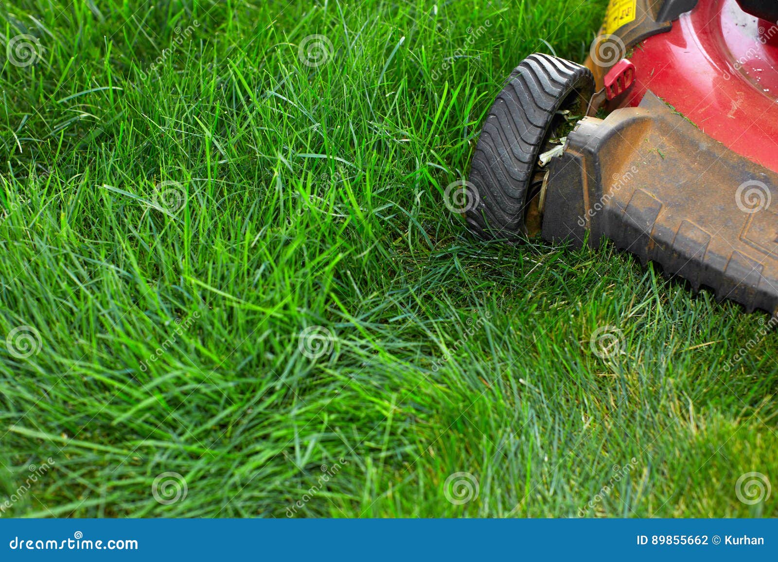 Lawn Mower Cutting Green Grass. Stock Photo - Image of summer, park ...