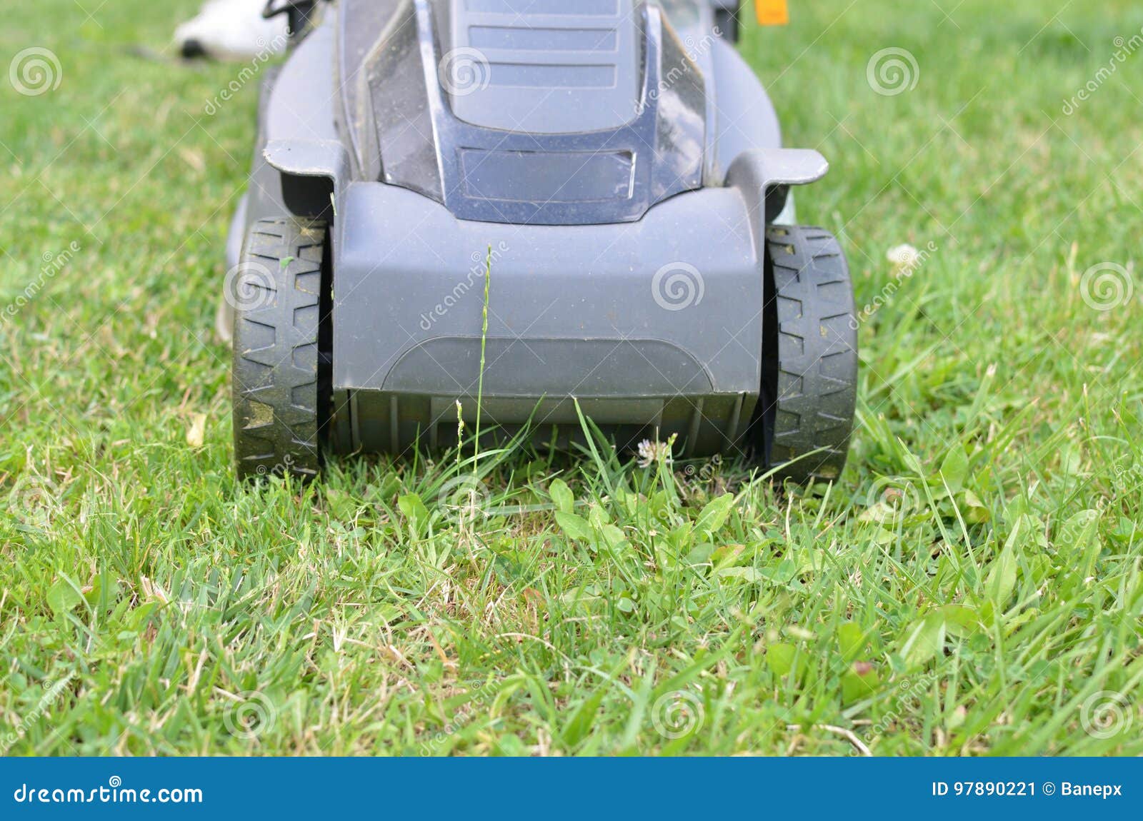 Lawn mower front side stock image. Image of green, mowing - 97890221