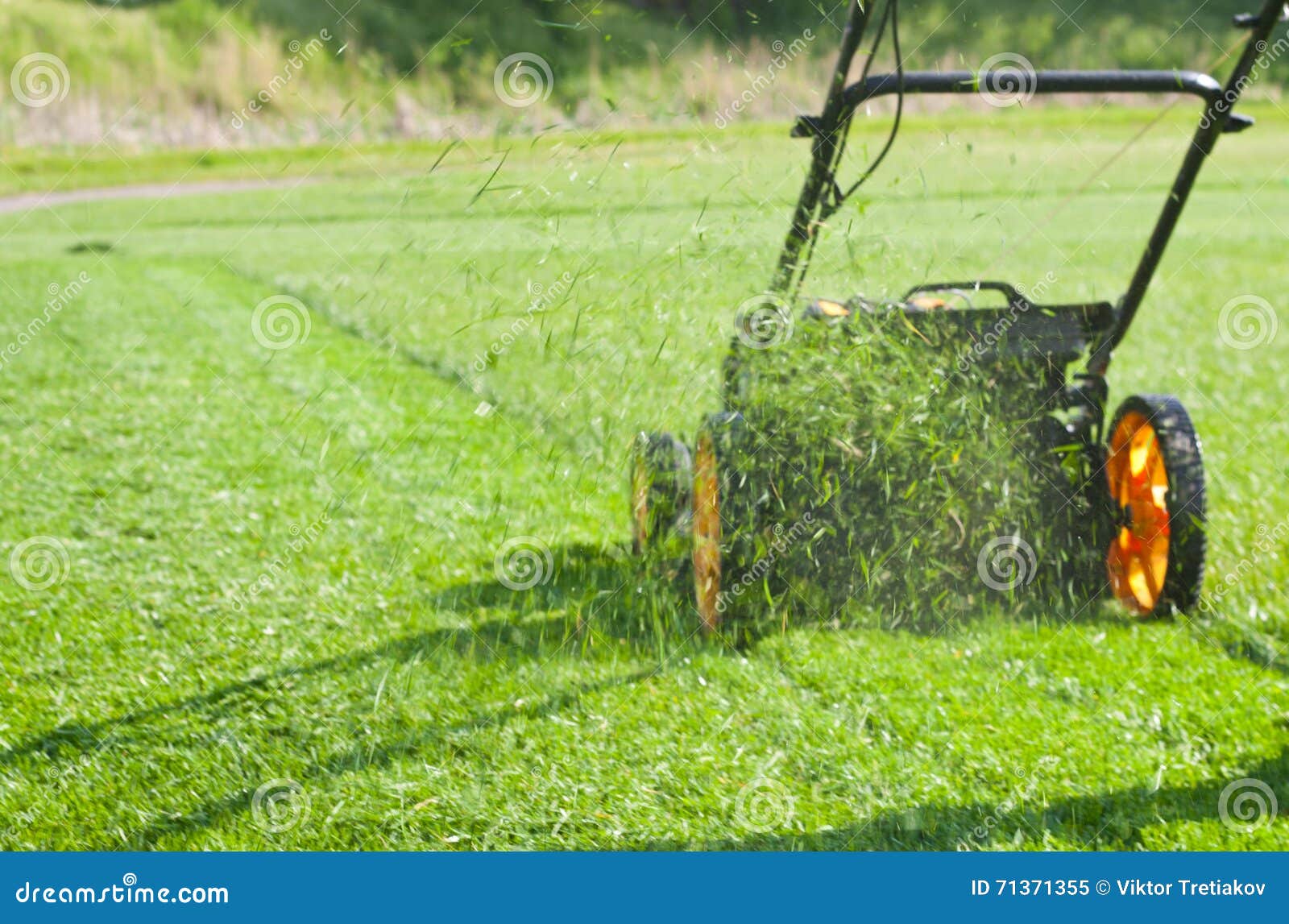 Lawn mower stock image. Image of motor, cutting, backyard - 71371355