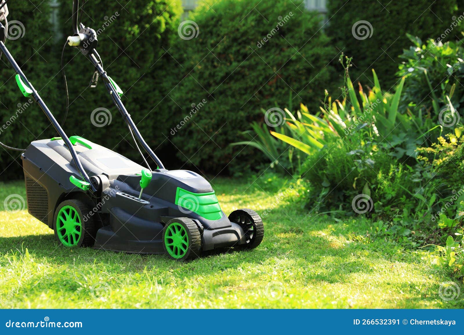 Lawn Mower on Green Grass in Garden Stock Image - Image of engine, park ...
