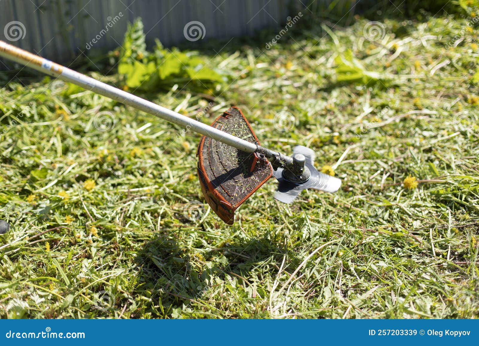 Lawn Mower Mows Grass. Cutting Lawn Stock Image - Image of gardener ...