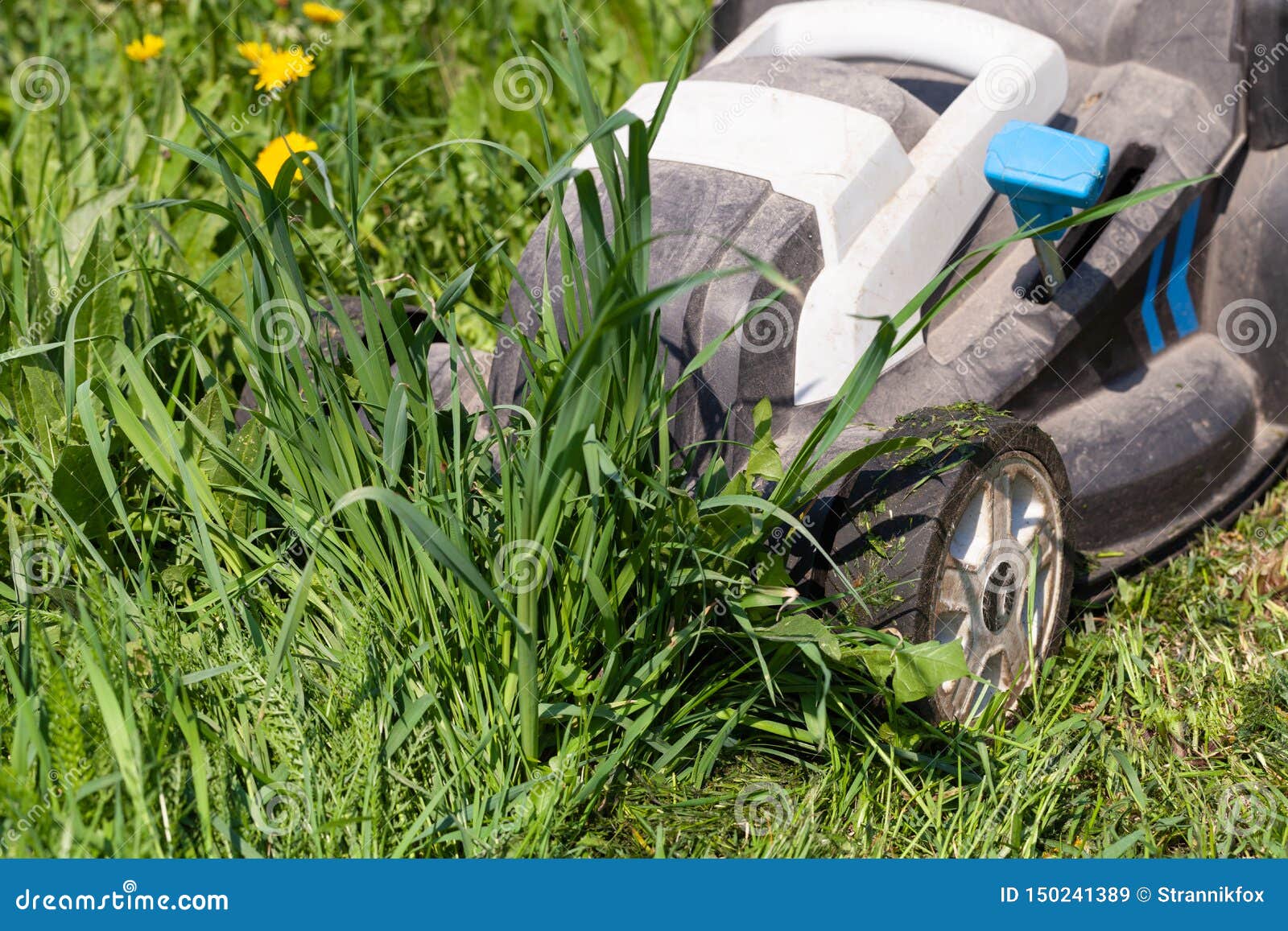 Lawn Mower in the Spring Garden Stock Image - Image of scythe, engine ...
