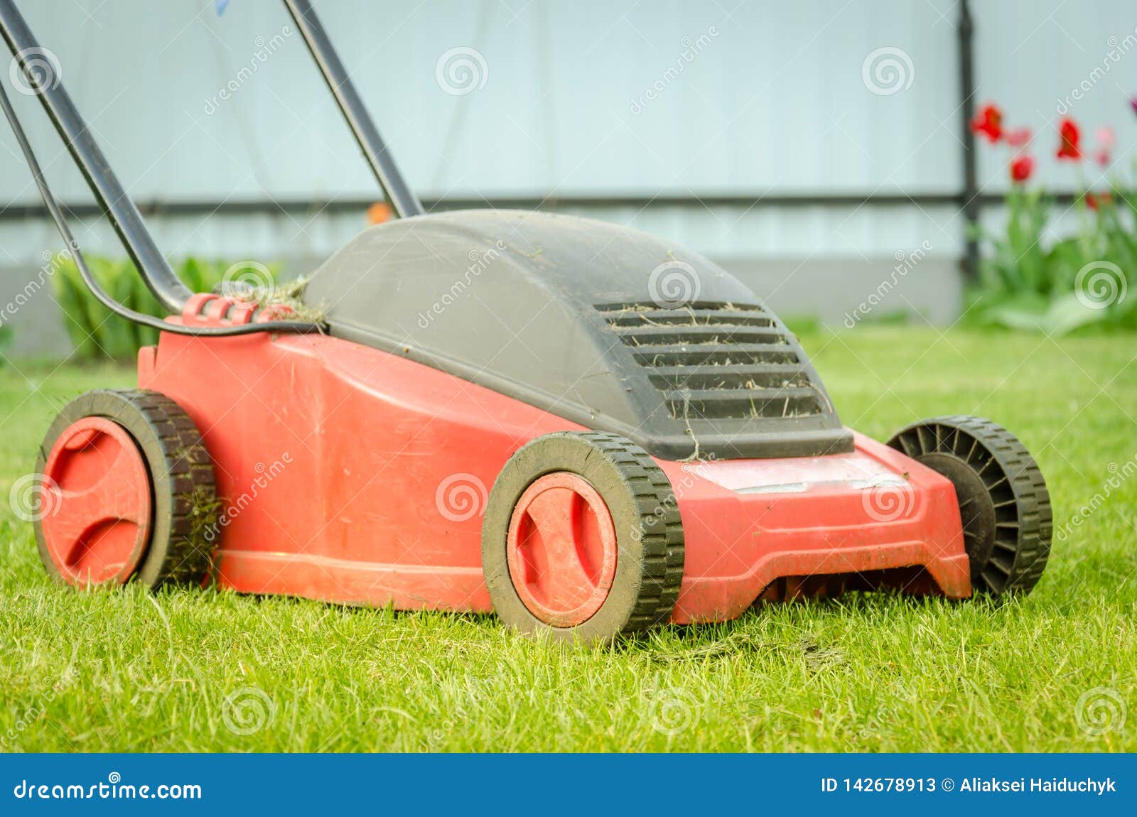 Lawn Mower on the Tonsured Lawn/red Lawn Mower on the Tonsured Lawn ...