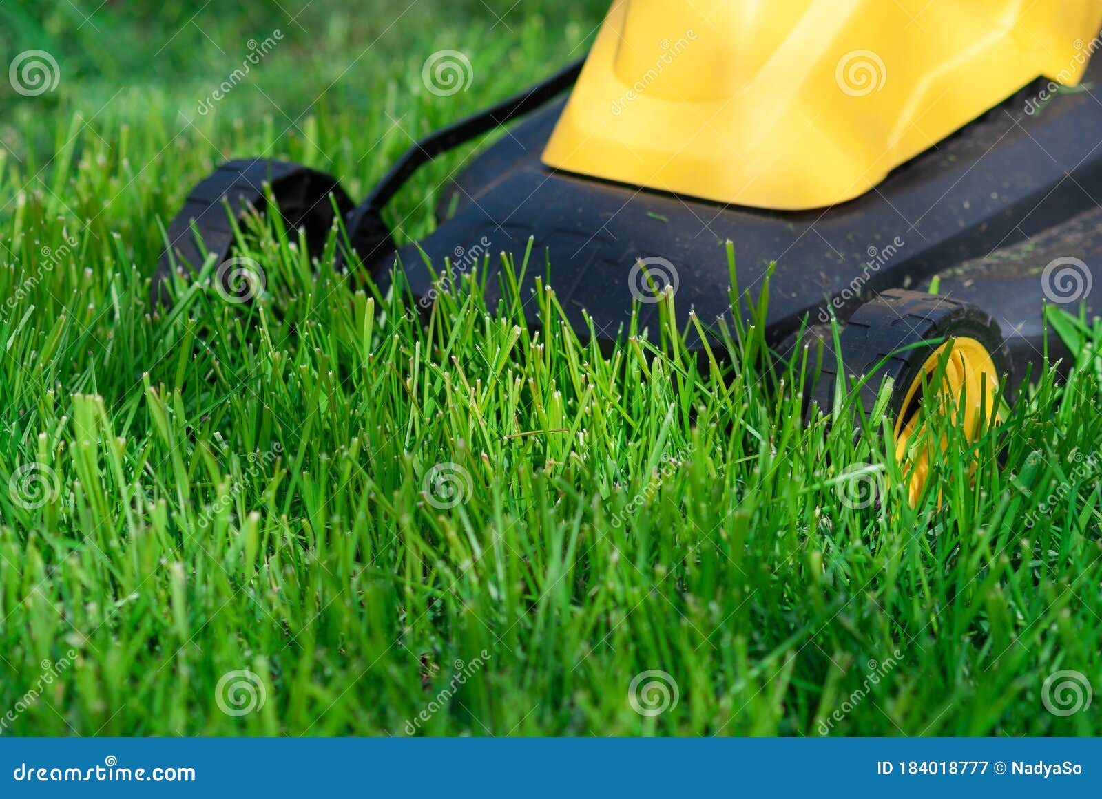 Lawn Mower Trimming Grass, Close Up Stock Image - Image of gardener ...
