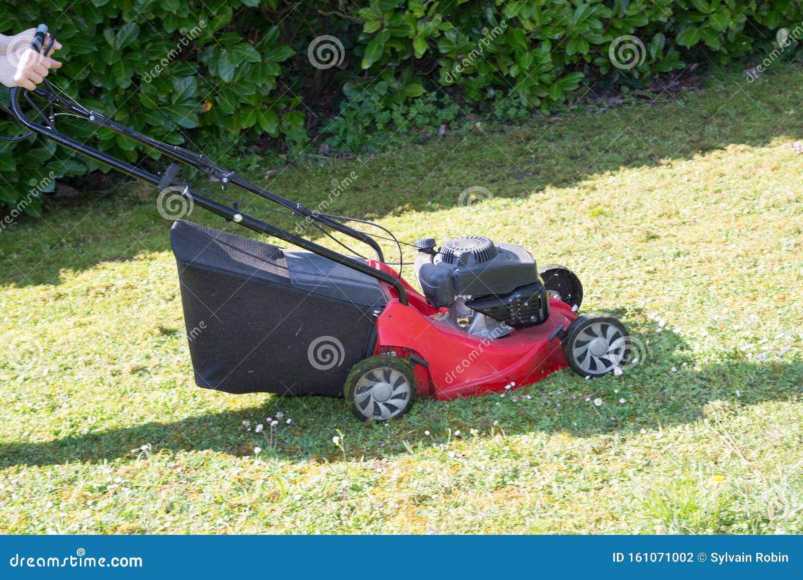 Lawn Mowers Cut Grass in Garden Work Stock Photo - Image of fresh ...