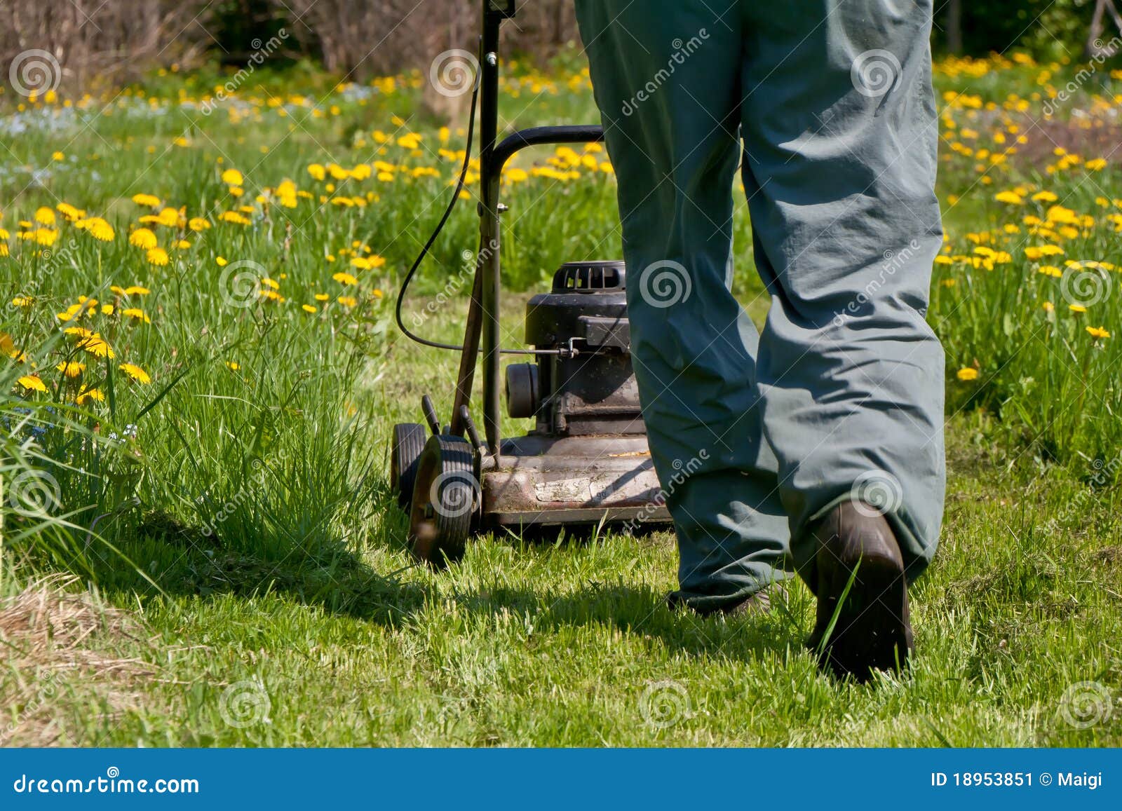 Lawn mowing stock image. Image of cultivate, country - 18953851