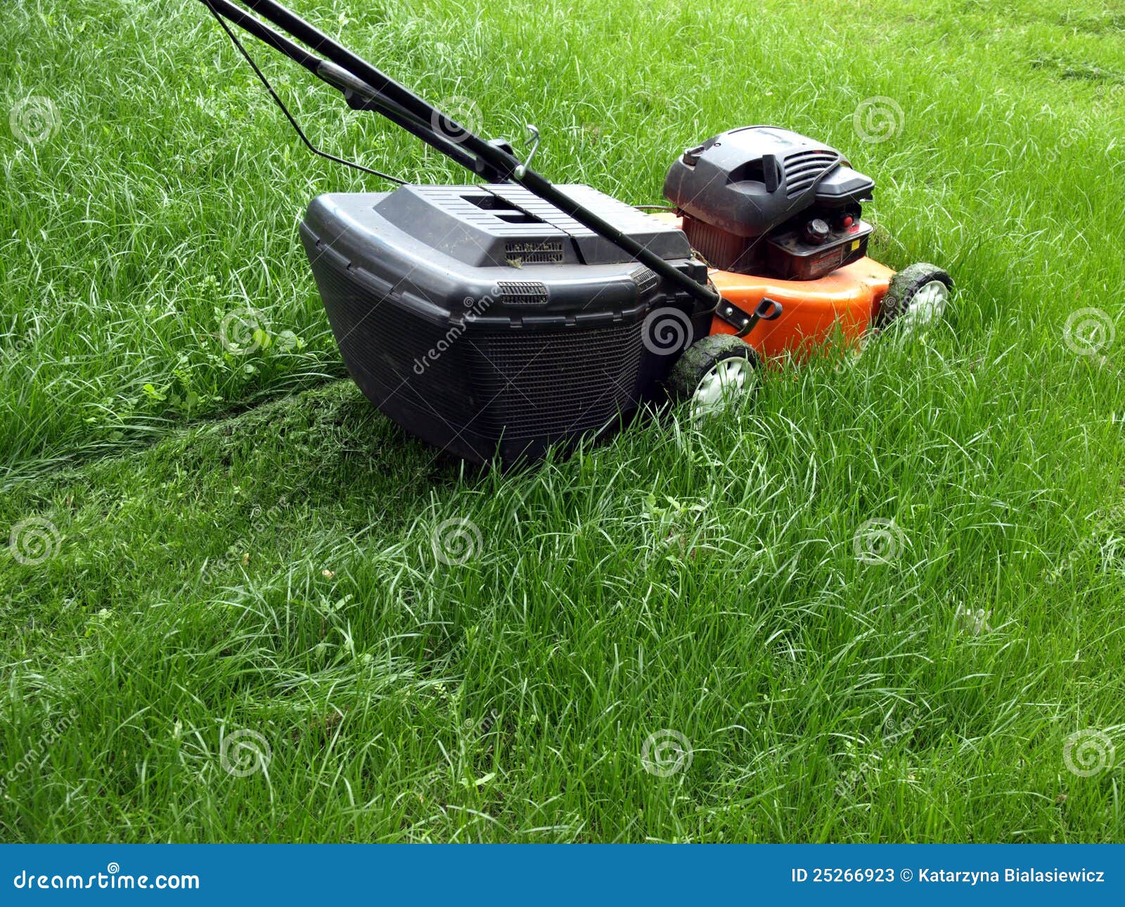 Lawn mowing stock image. Image of outside, ground, mowing - 25266923