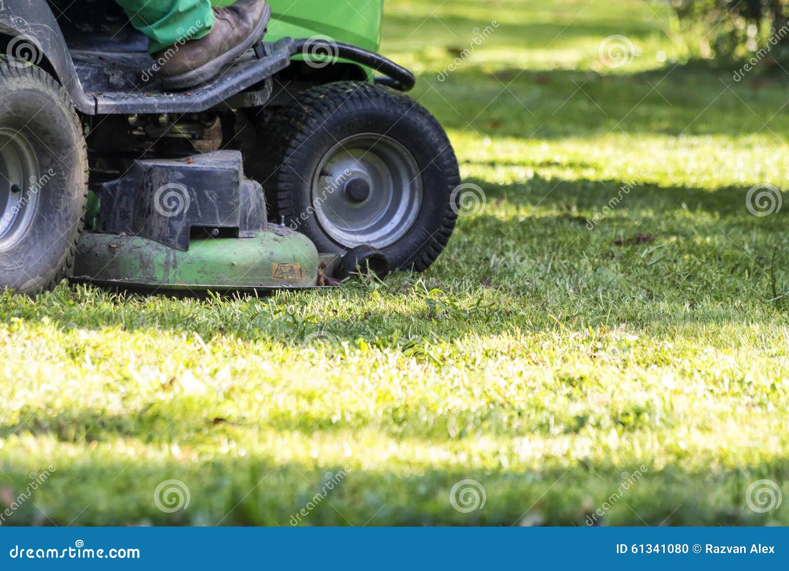 Lawn Mowing stock photo. Image of electric, machine, service - 61341080