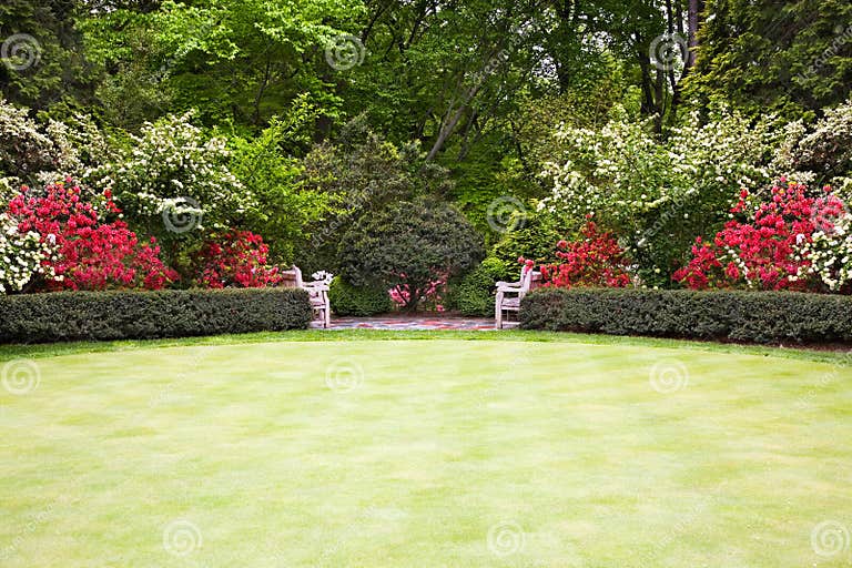 Lawn in the park stock photo. Image of growing, bush - 15115410