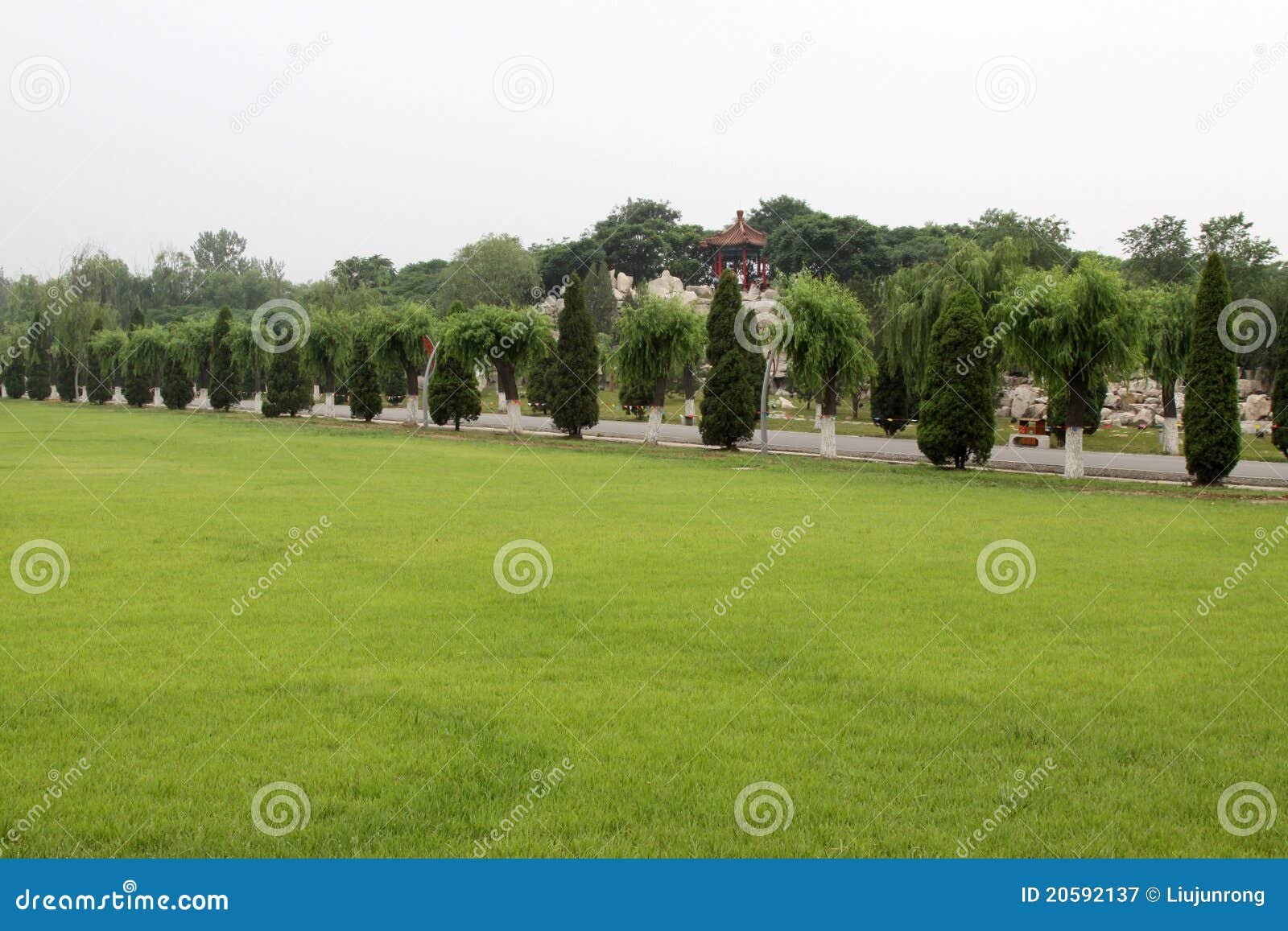 Lawn In A Park Picture. Image: 20592137