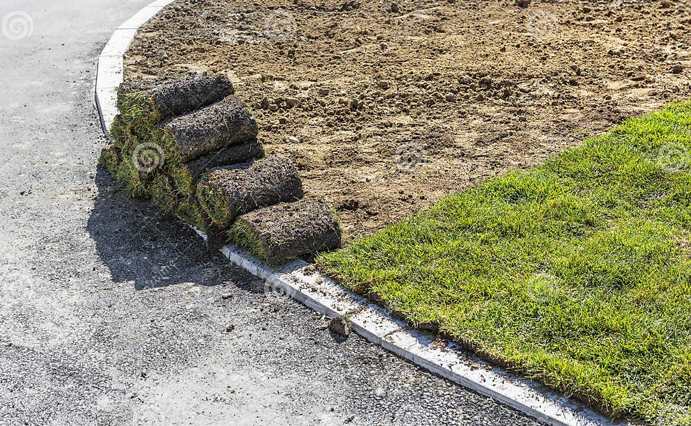 Lawn, Grass-plot in the Rolls Stock Image - Image of freshness, farm ...