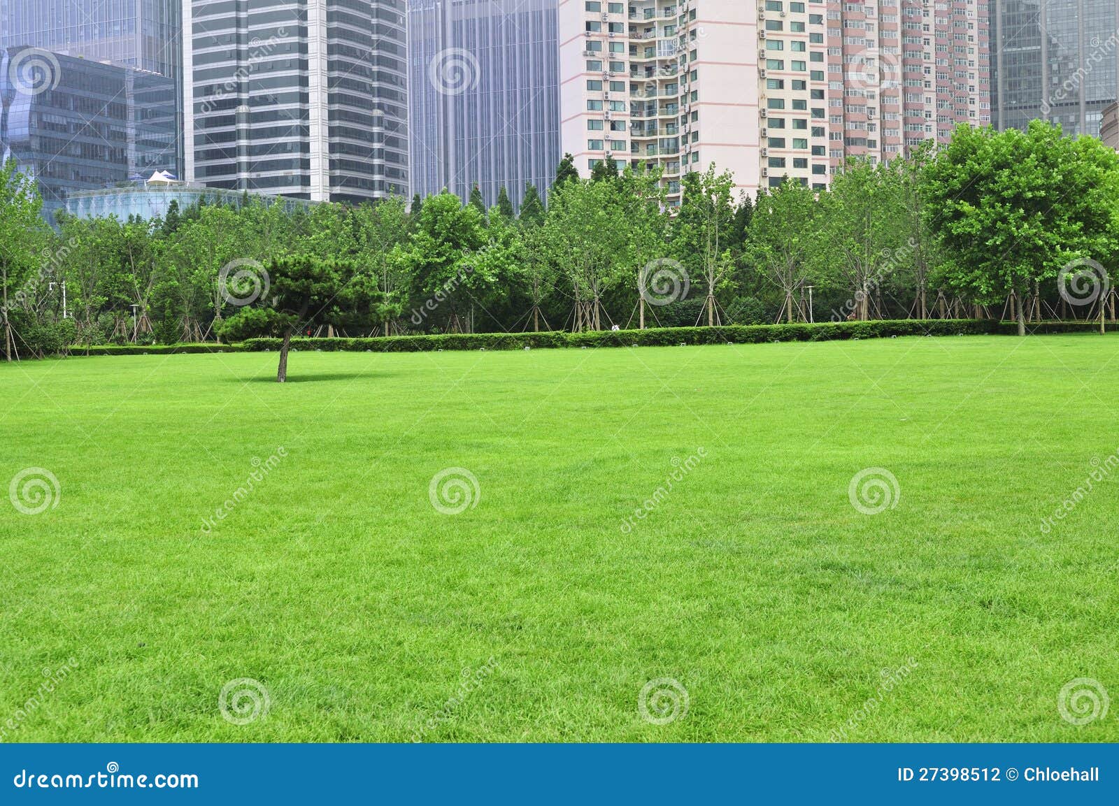 Lawn in qingdao,china stock photo. Image of park, royal - 27398512