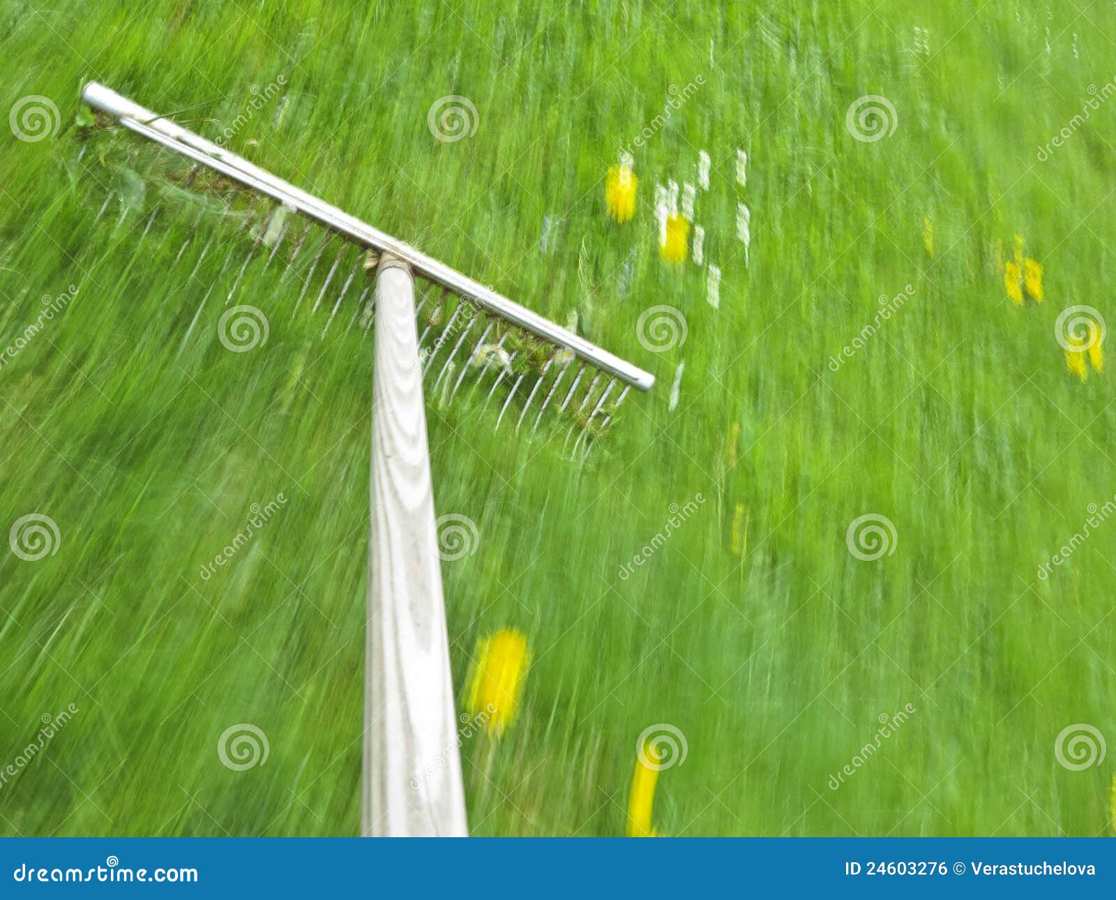 Lawn rake in motion stock photo. Image of fast, concept - 24603276
