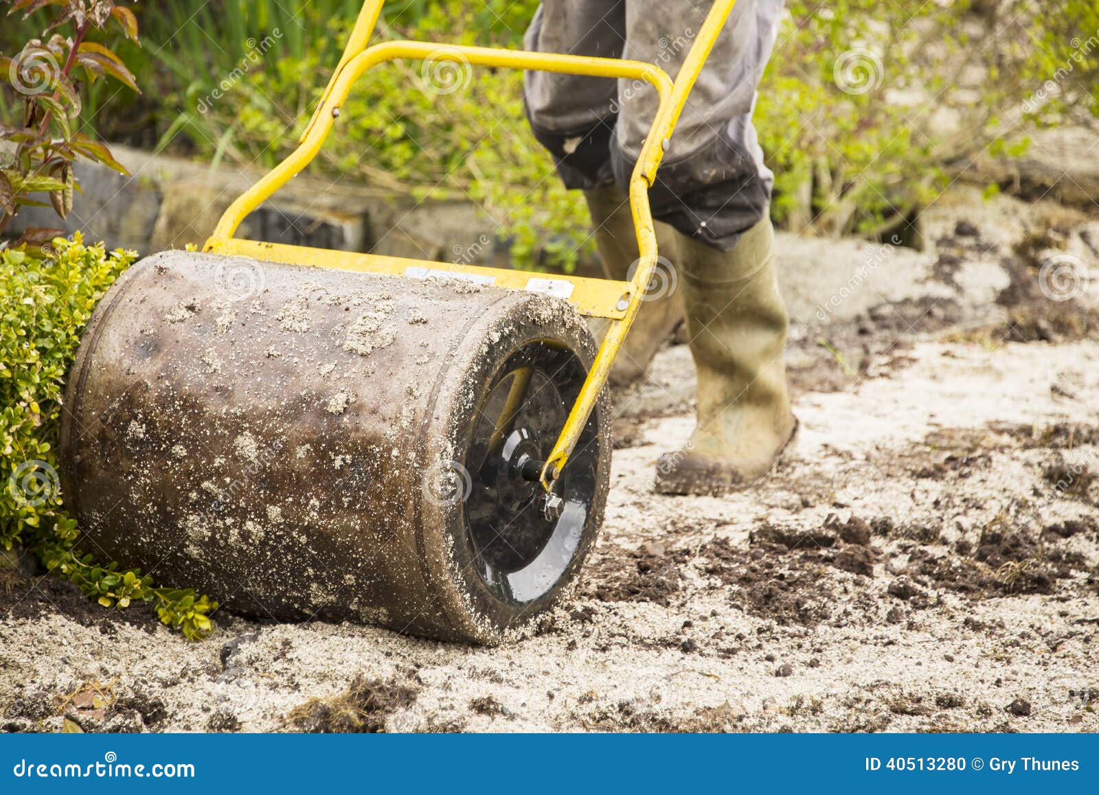 Lawn rolling stock photo. Image of seeding, rolling, shell - 40513280