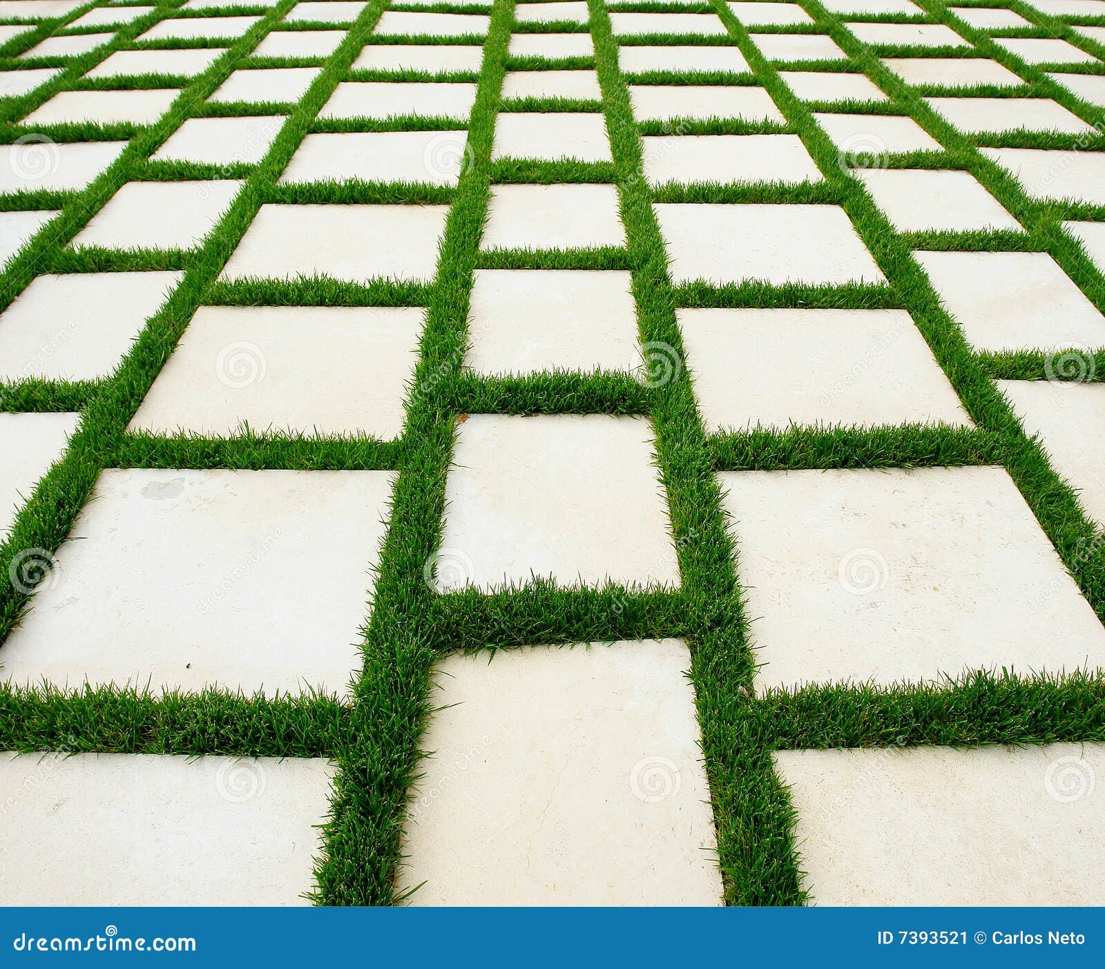 Lawn and Rustic Paving Texture Stock Image - Image of contrasts, grow ...