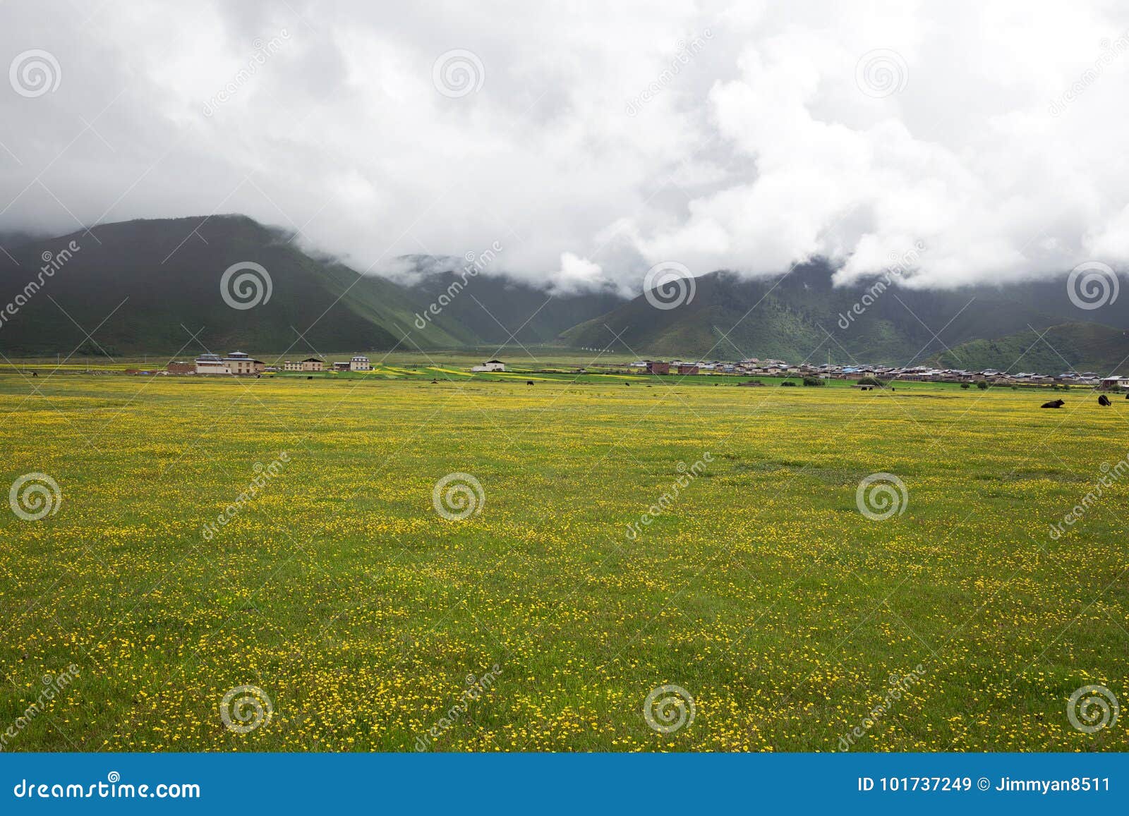 Lawn stock image. Image of scene, lawn, china, flowers - 101737249