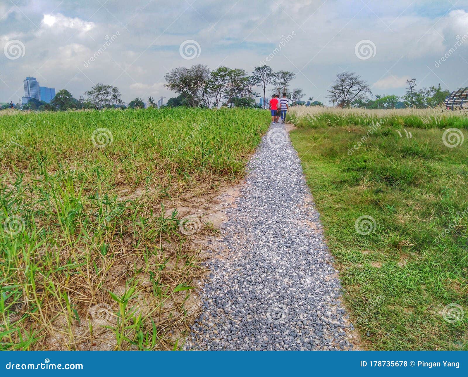 Lawn Small Path in the Green Park Editorial Stock Photo - Image of ...