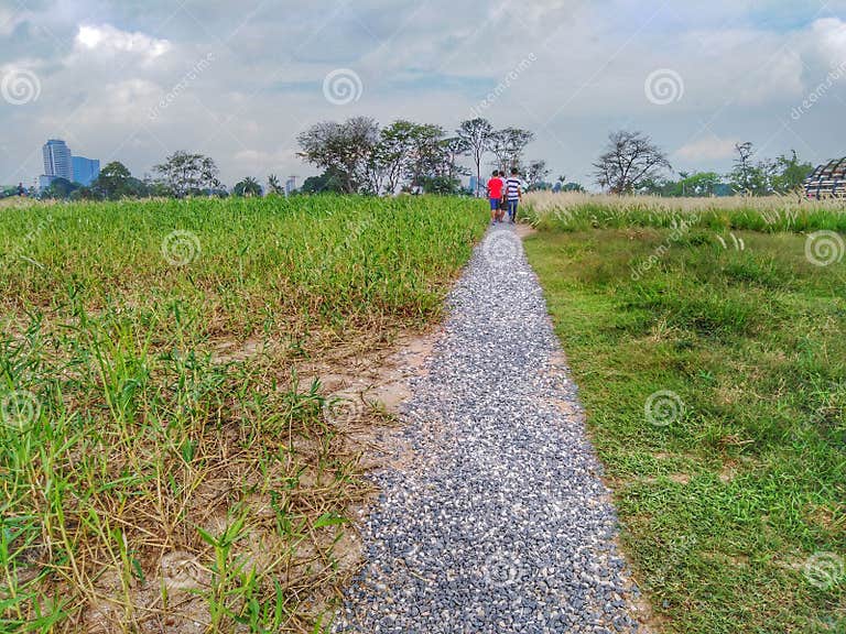 Lawn Small Path in the Green Park Editorial Stock Photo - Image of ...