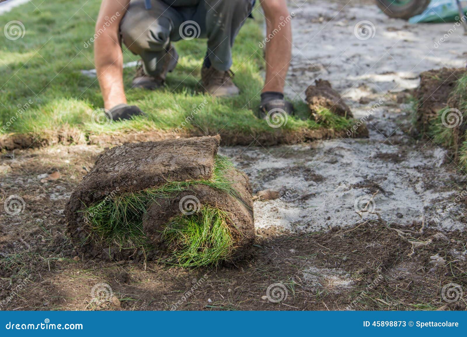 Lawn and Sod Installation 3 Stock Image - Image of agriculture, glove ...