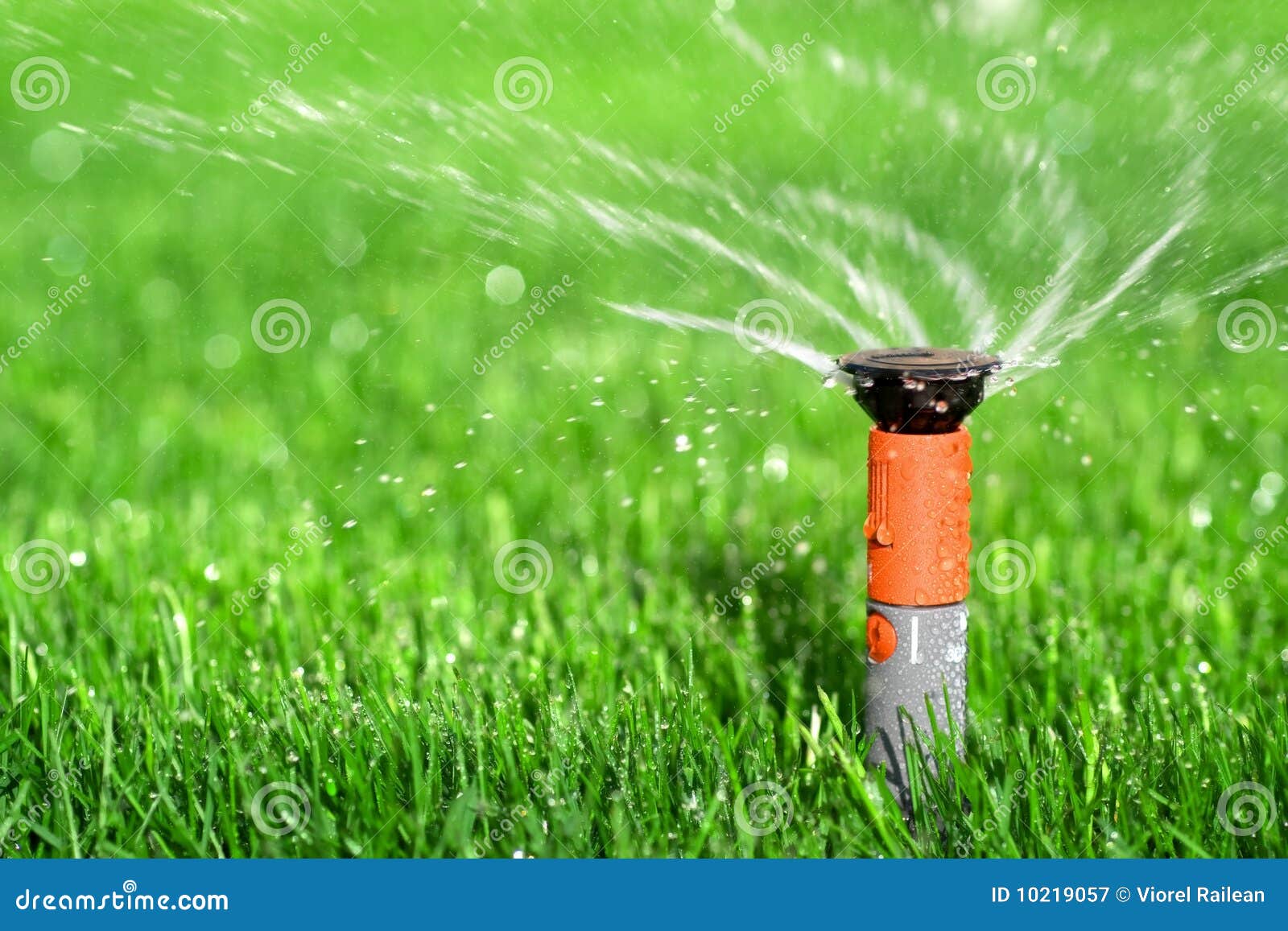 Lawn Sprinkler stock image. Image of sprinkler, lawn - 10219057