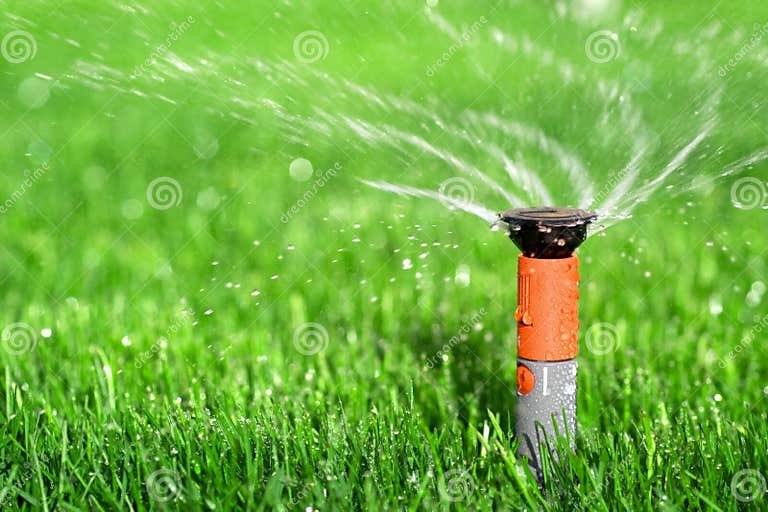 Lawn Sprinkler stock image. Image of sprinkler, lawn - 10219057