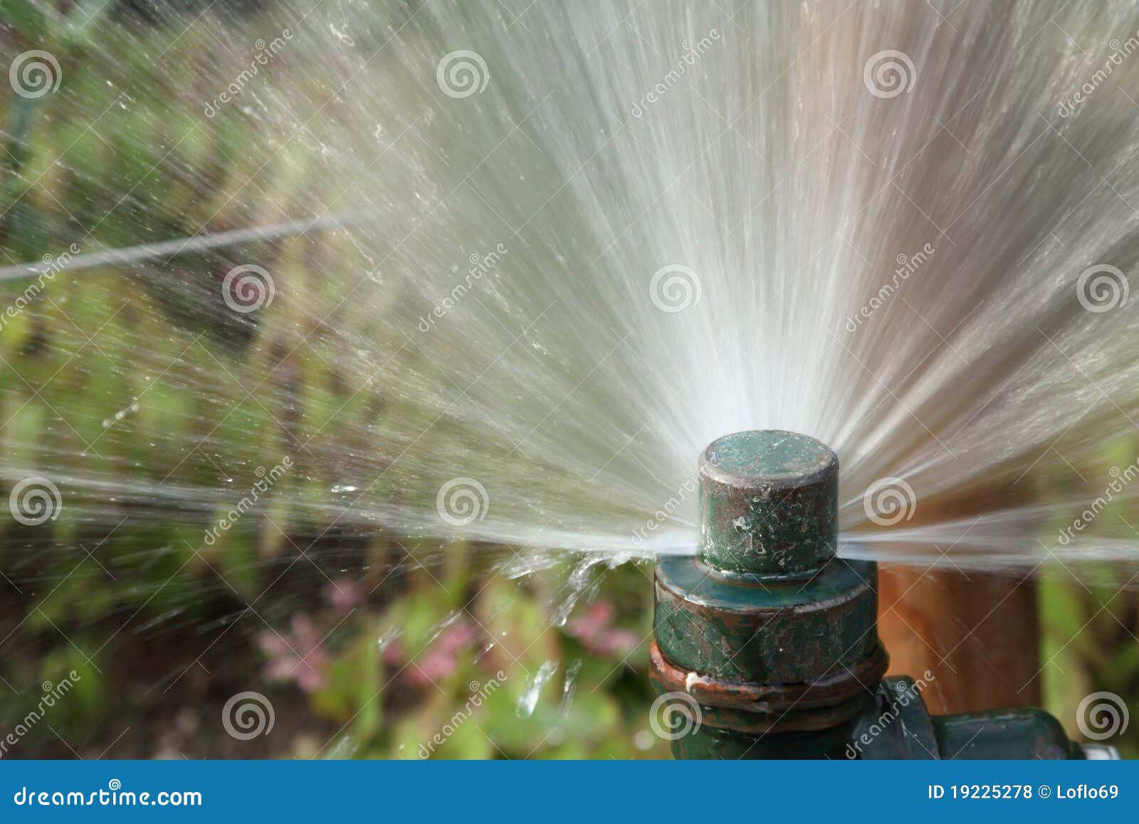 Lawn Sprinkler stock photo. Image of head, garden, stream - 19225278