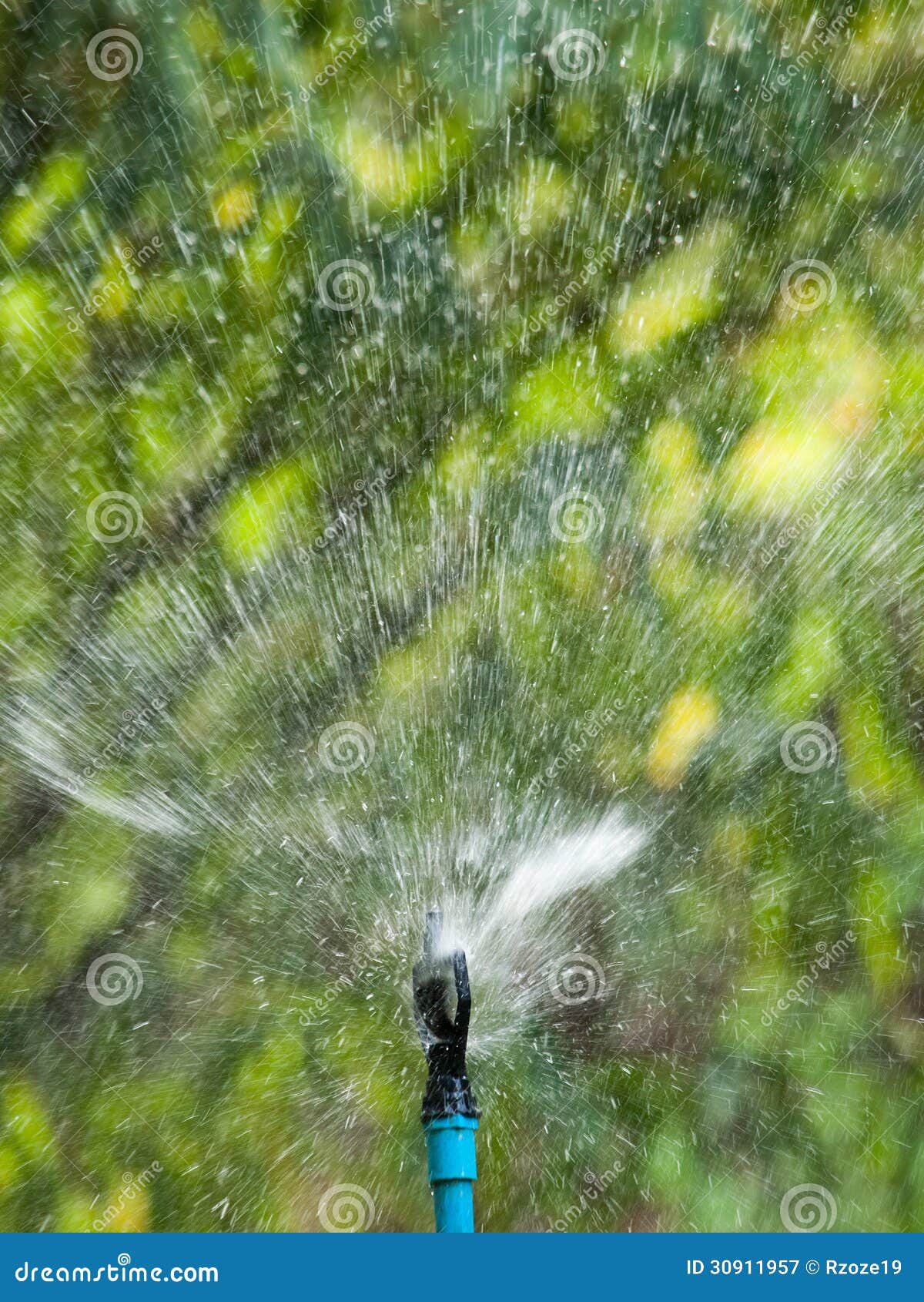 Lawn sprinkler stock image. Image of front, nature, stream - 30911957