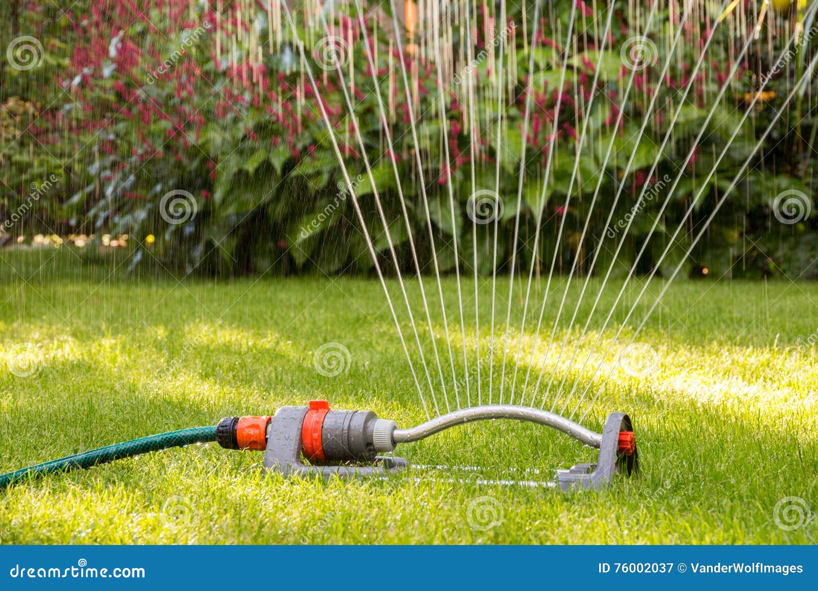 Lawn sprinkler stock image. Image of lawn, sprinkler - 76002037