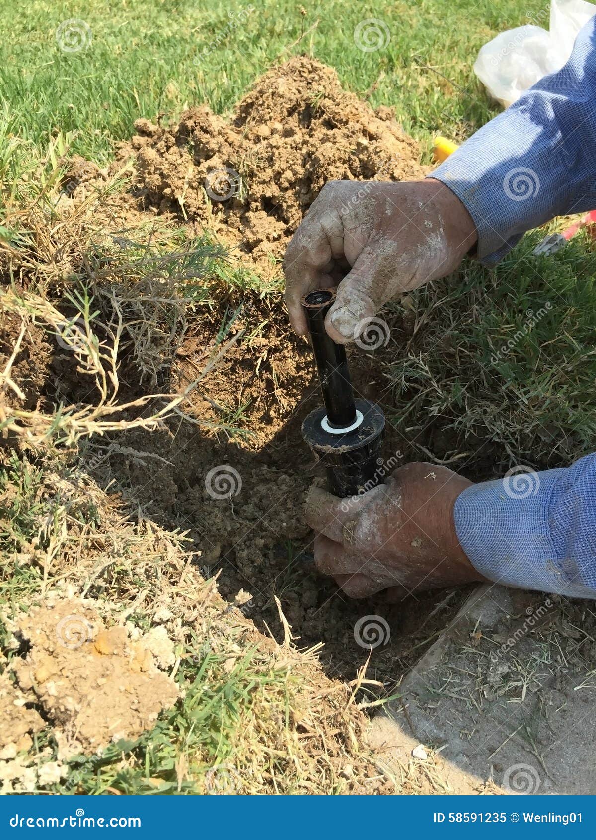 Lawn sprinkler fixing stock image. Image of lawn, underground - 58591235