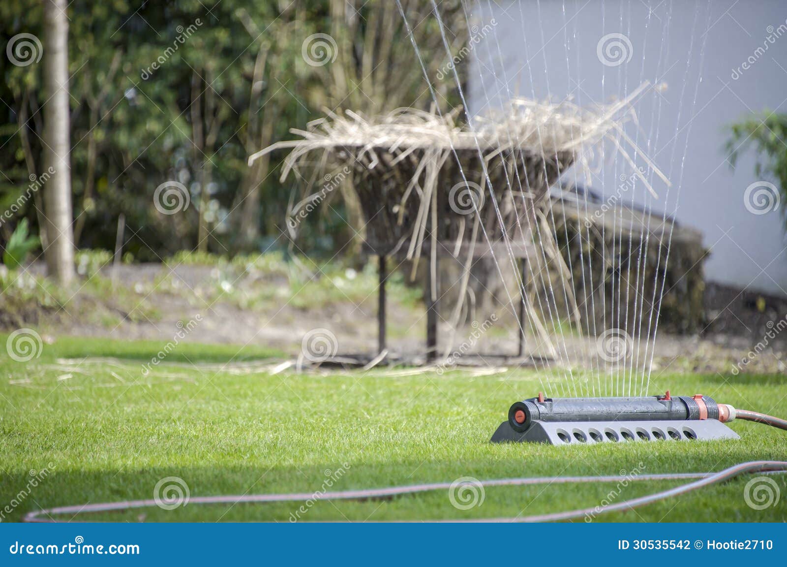 Lawn sprinkler in spring stock photo. Image of fresh - 30535542