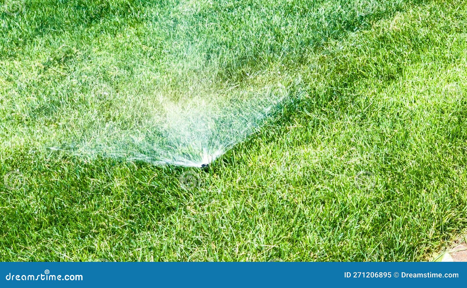 Lawn sprinkles stock image. Image of street, residential - 271206895