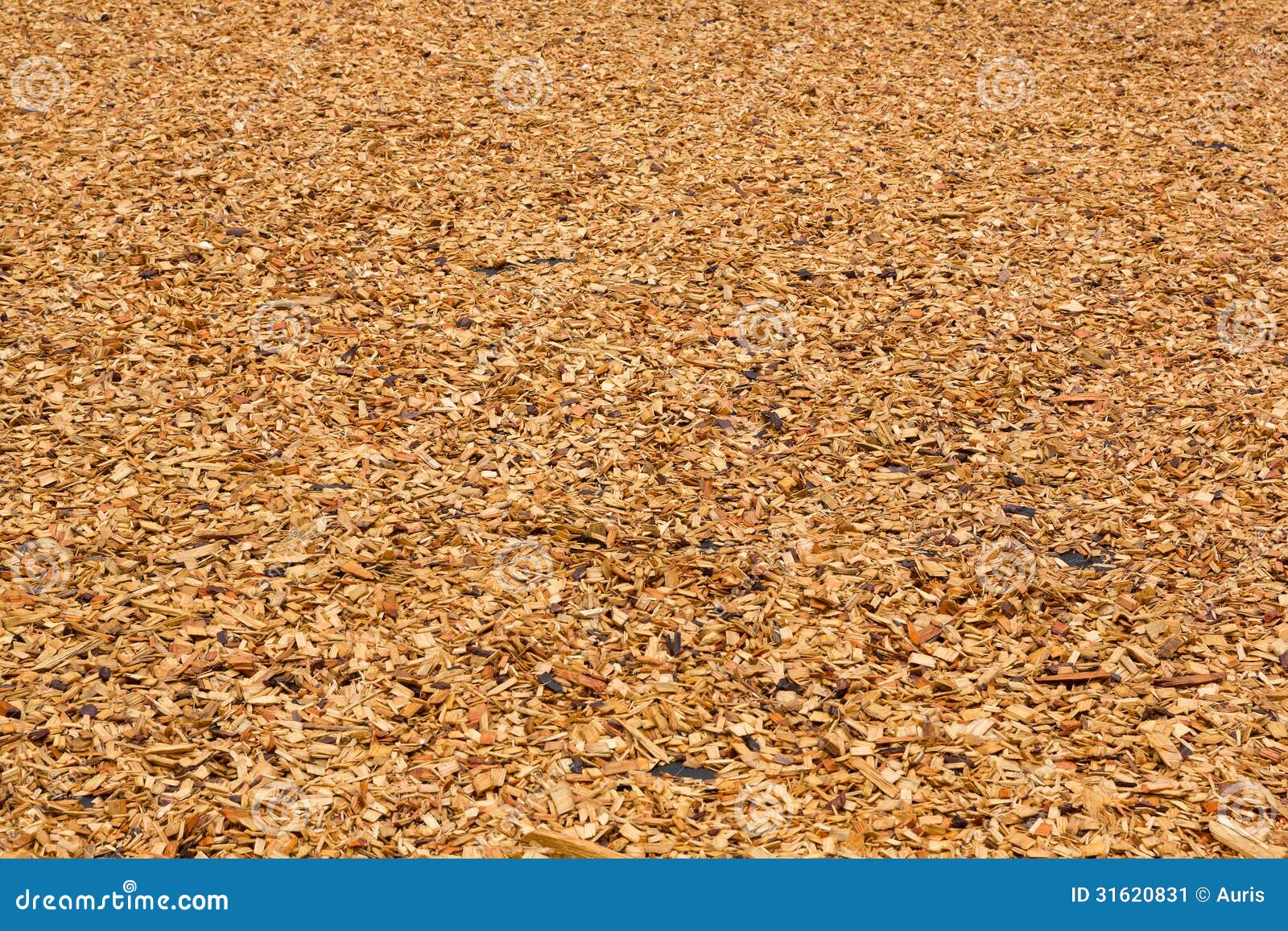 Lawn Strewed by Wooden Chips Stock Image - Image of surface, mulch ...