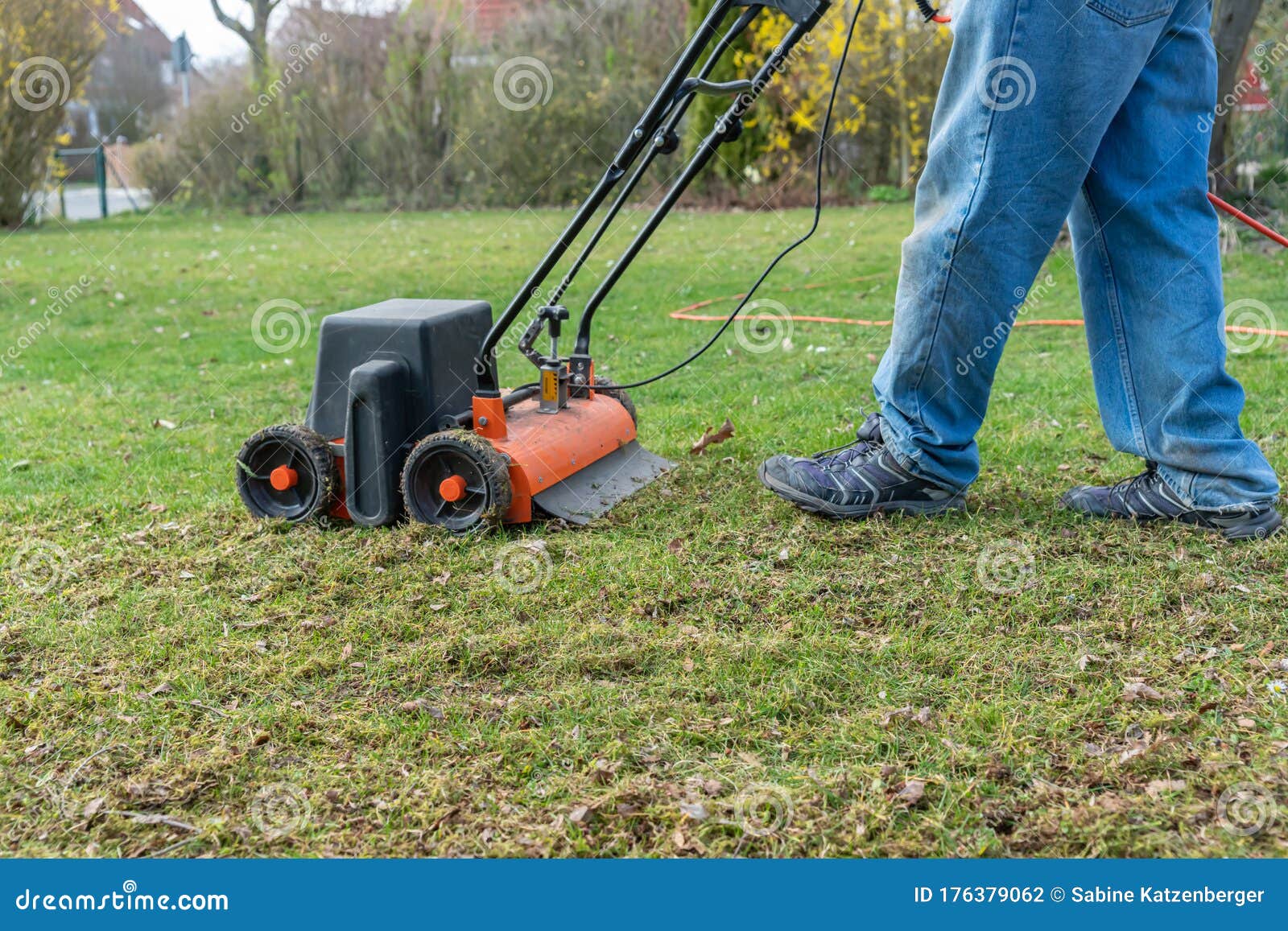 Lawn thatcher in action stock photo. Image of cultivation - 176379062