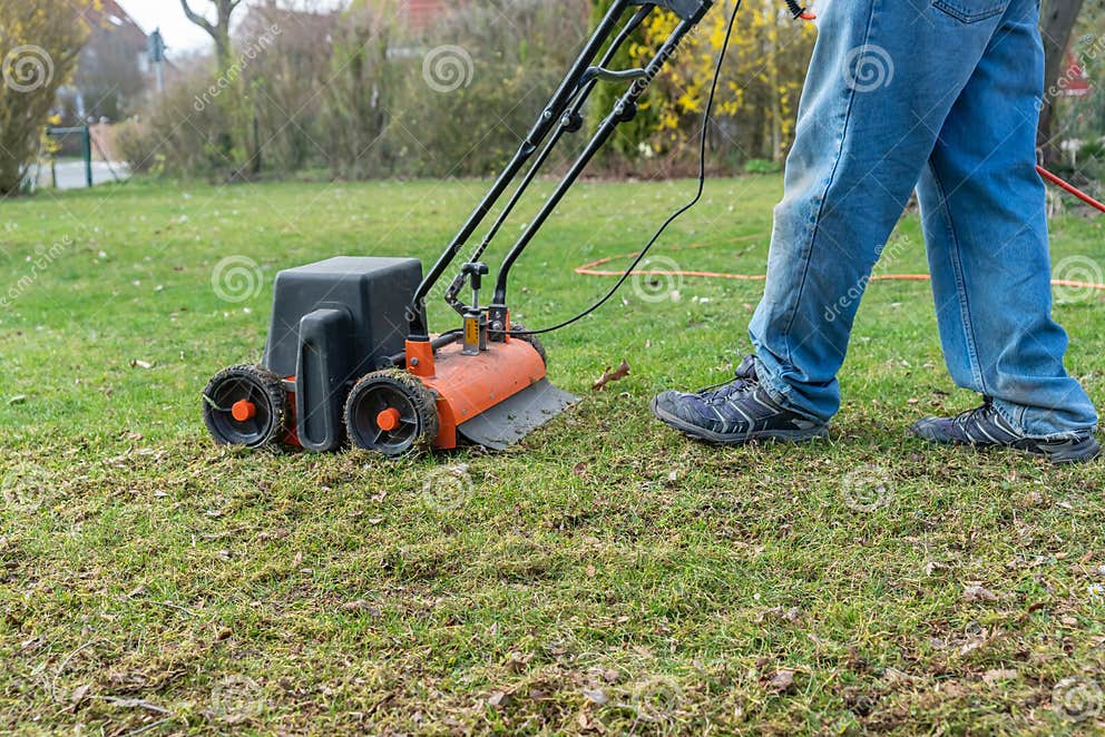 Lawn thatcher in action stock photo. Image of cultivation - 176379062