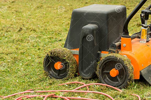 Lawn thatcher stock photo. Image of nature, mineral, farming - 53735226