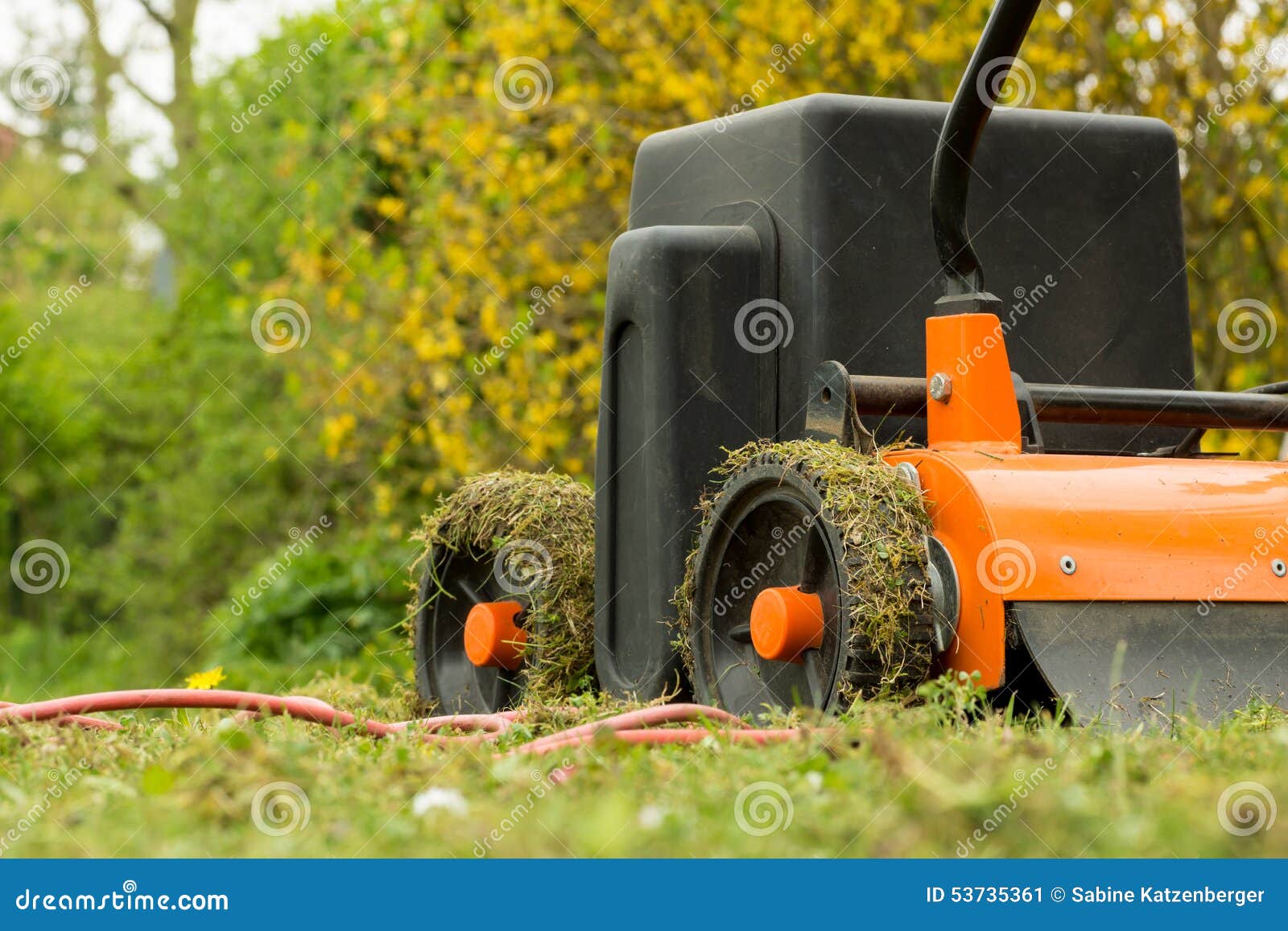 Lawn thatcher stock image. Image of maintenance, green - 53735361