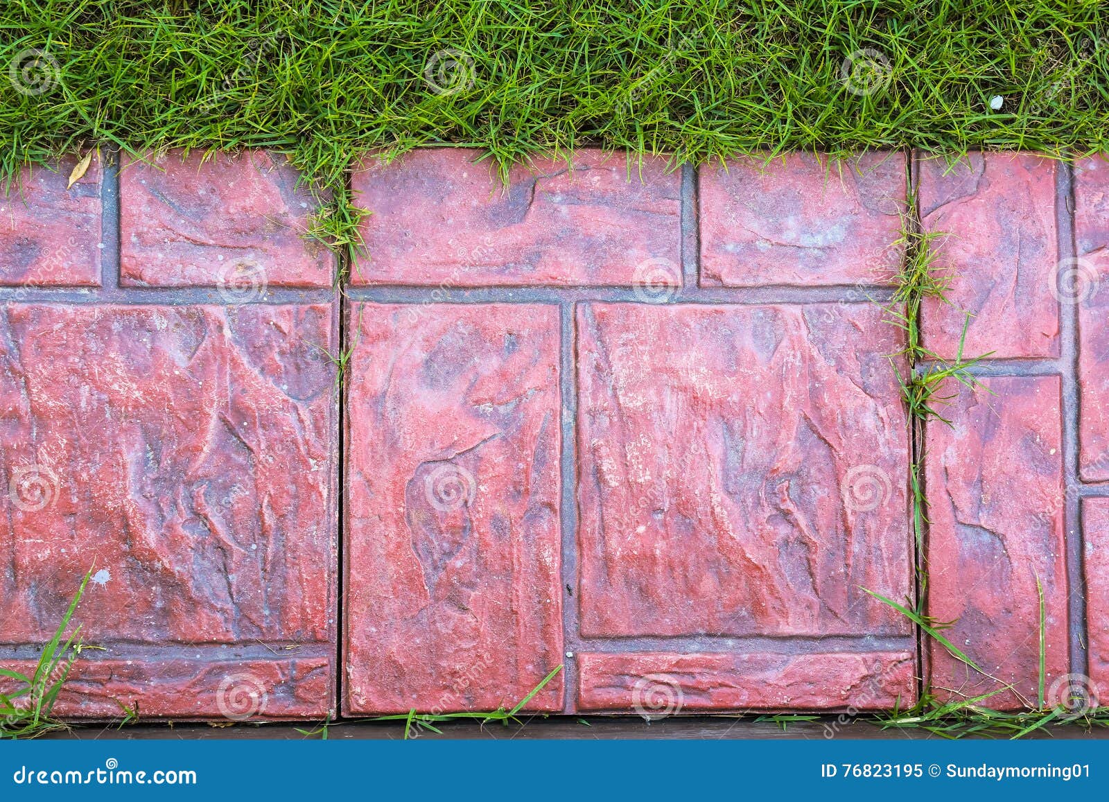 Lawn and Tiled at terrace stock image. Image of nature - 76823195