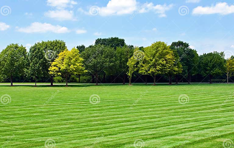 Lawn with Tree Line stock photo. Image of blue, atmospheres - 5764262