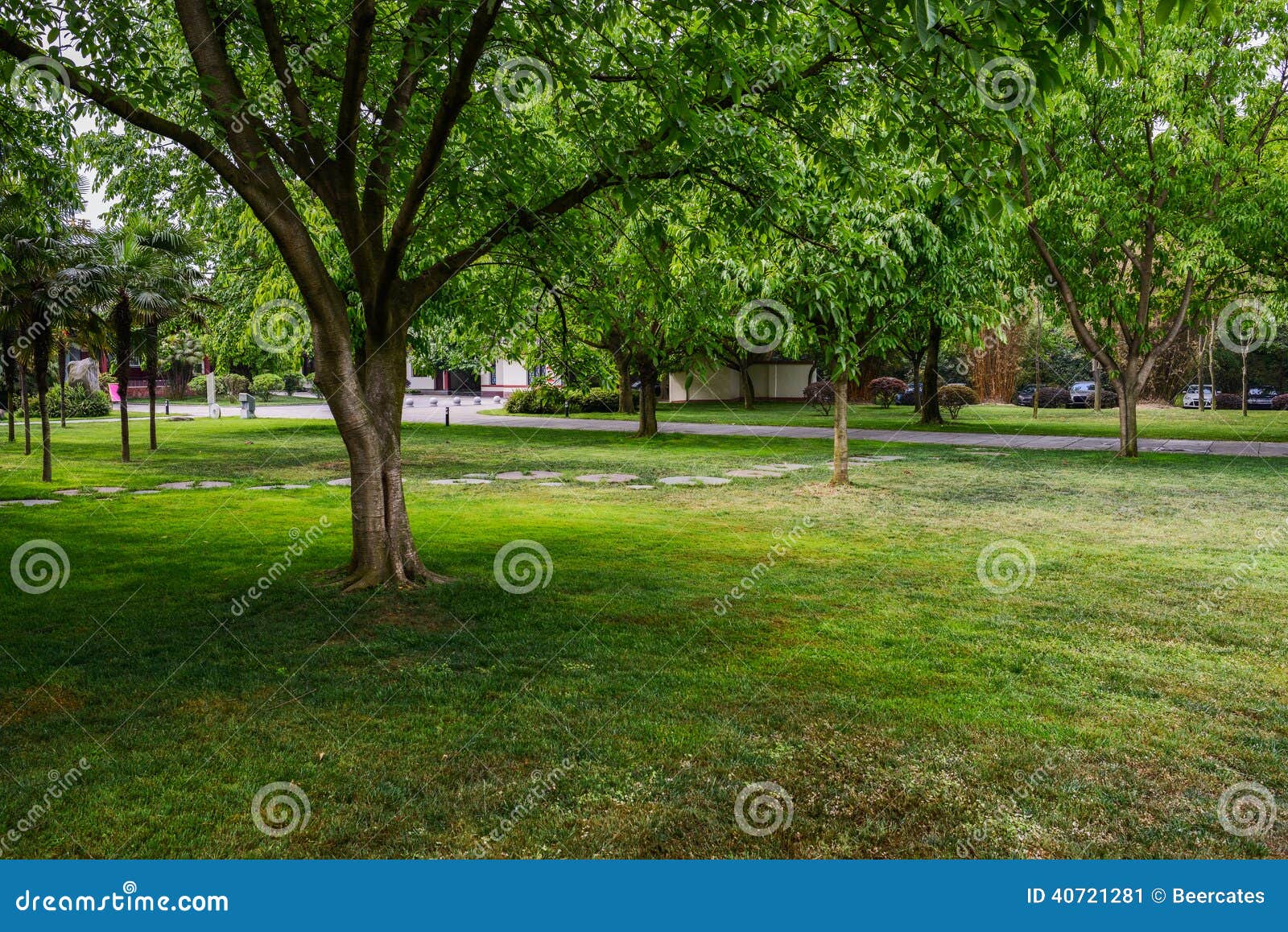 Lawn in tree shade stock image. Image of green, verdant - 40721281