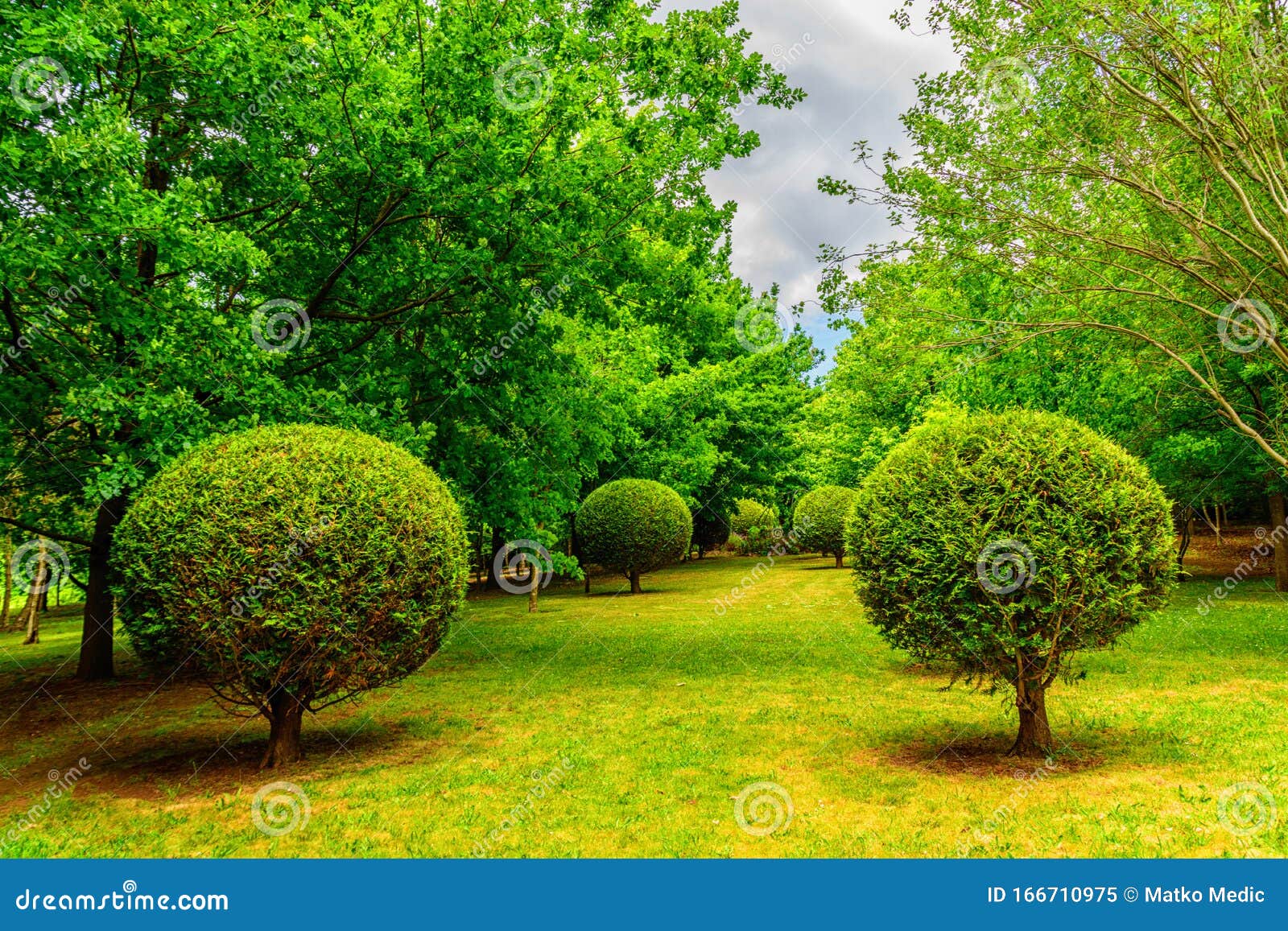Trimmed Trees and Manicured Lawn Stock Image - Image of countryside ...