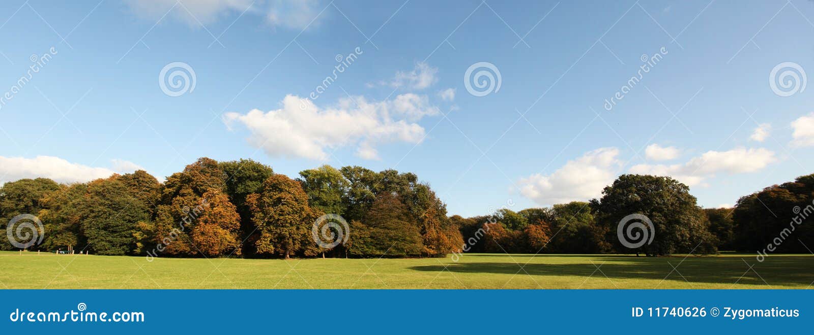 Lawn Trees and Sunlight during Fall Panorama Stock Photo - Image of ...